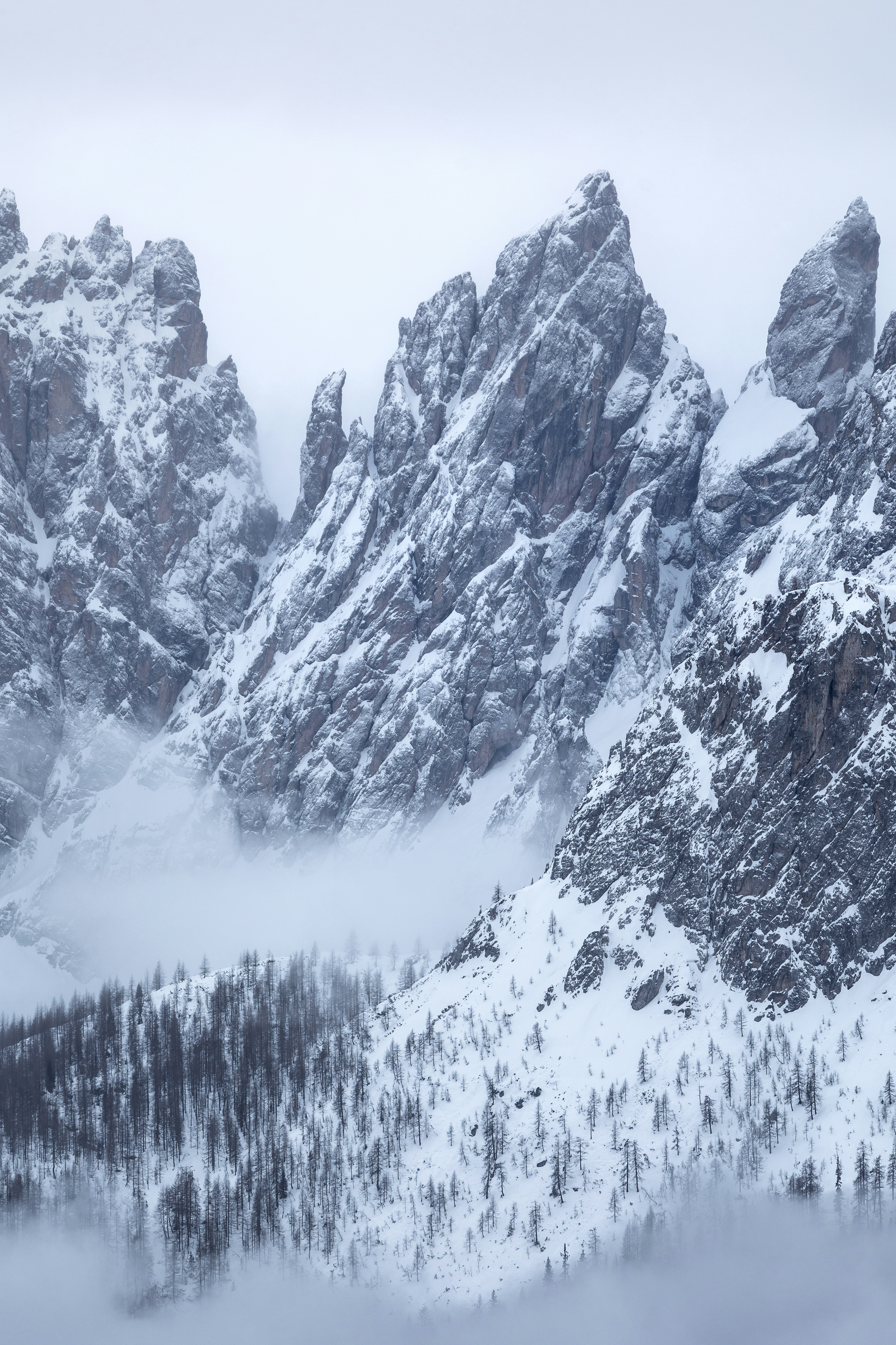 Snow-covered mountains pierce through the morning fog. photo – Free ...
