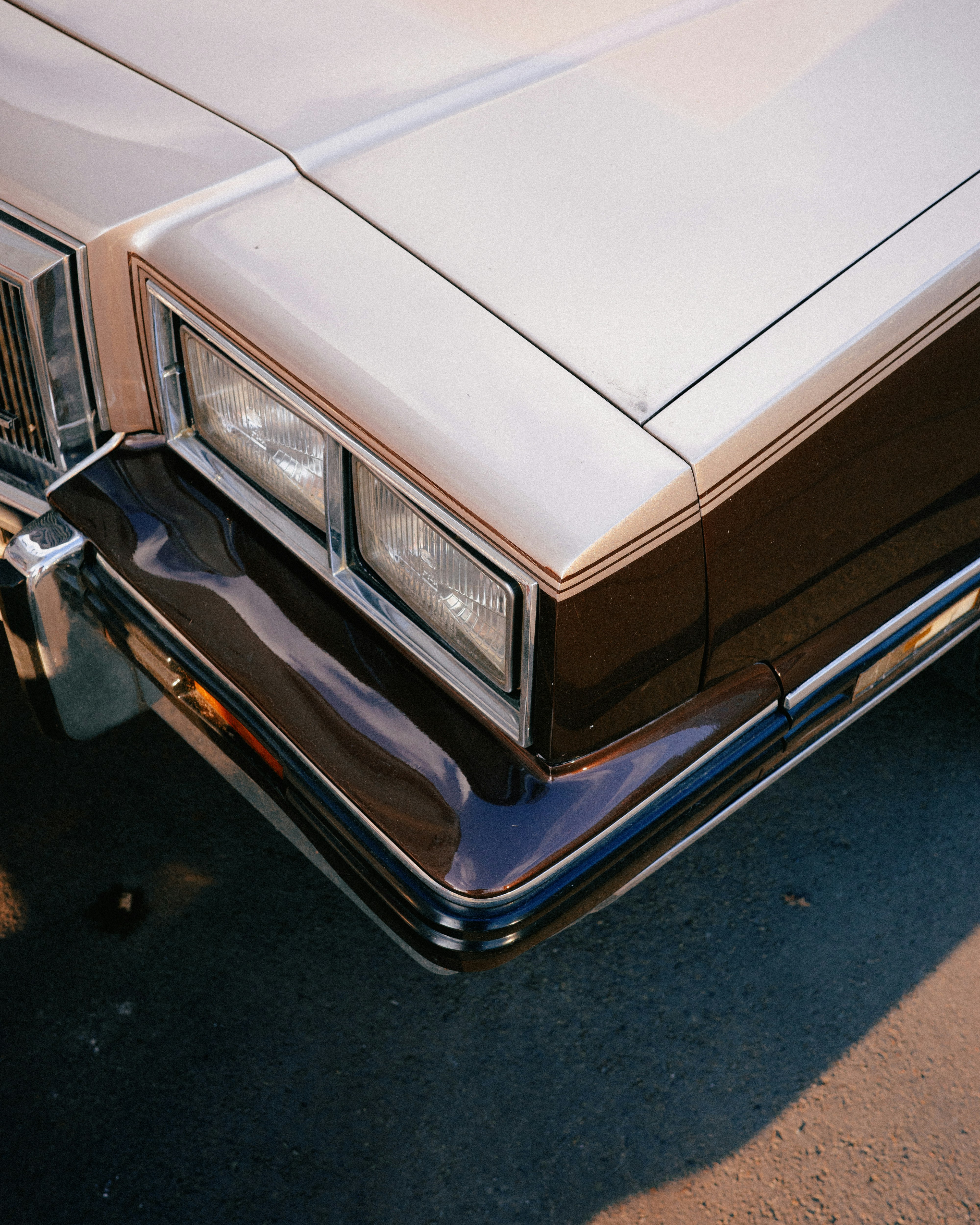 Polotno Studio - Make graphical designs