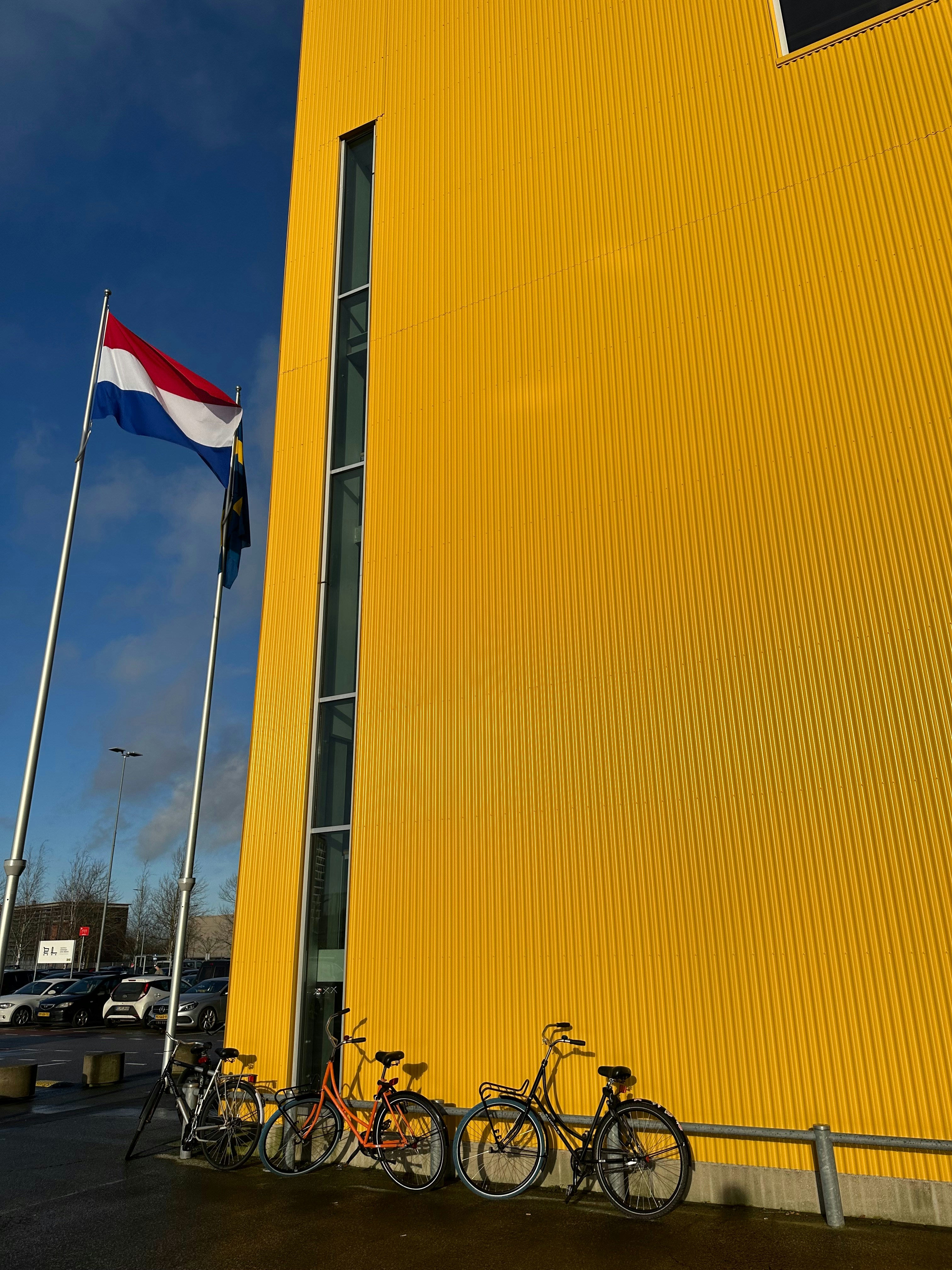 Vibrant Urban Harmony: Flags and Bikes Against a Golden Facade