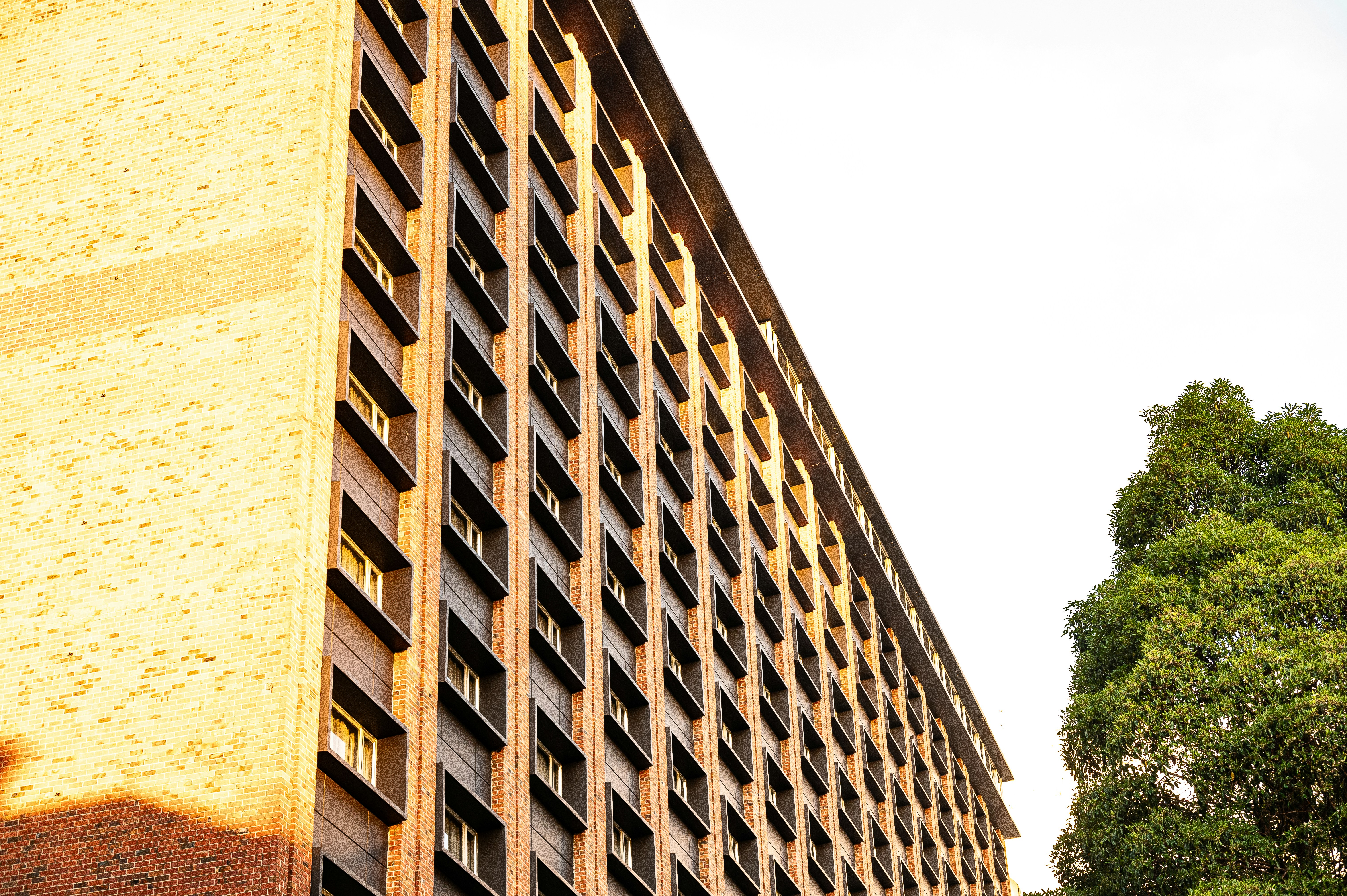 Tall brick building with numerous windows illuminated by warm sunlight beside a lush green tree.