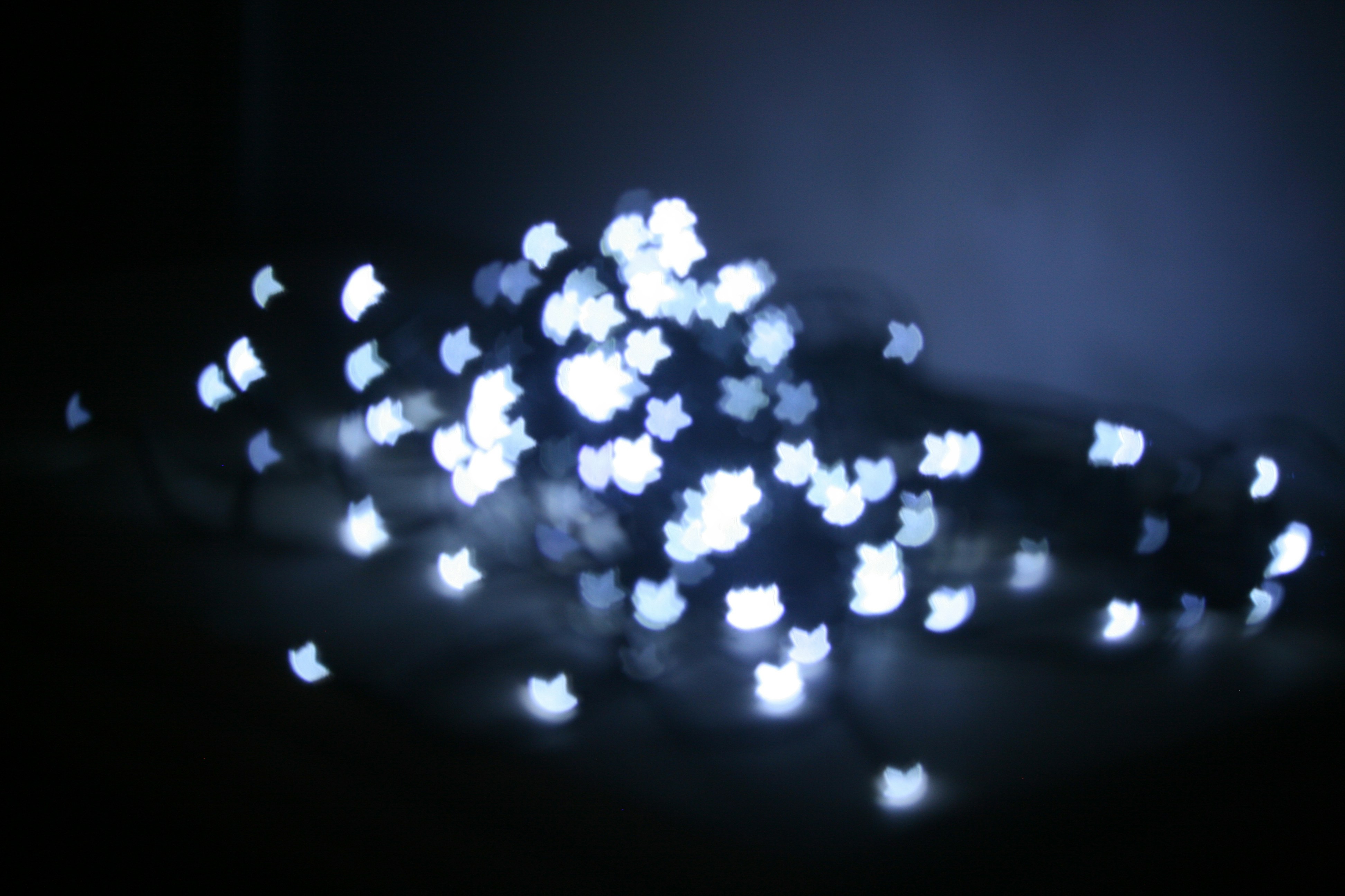 Midnight Bloom: a constellation of soft-blue bokeh over a shadowed surface
