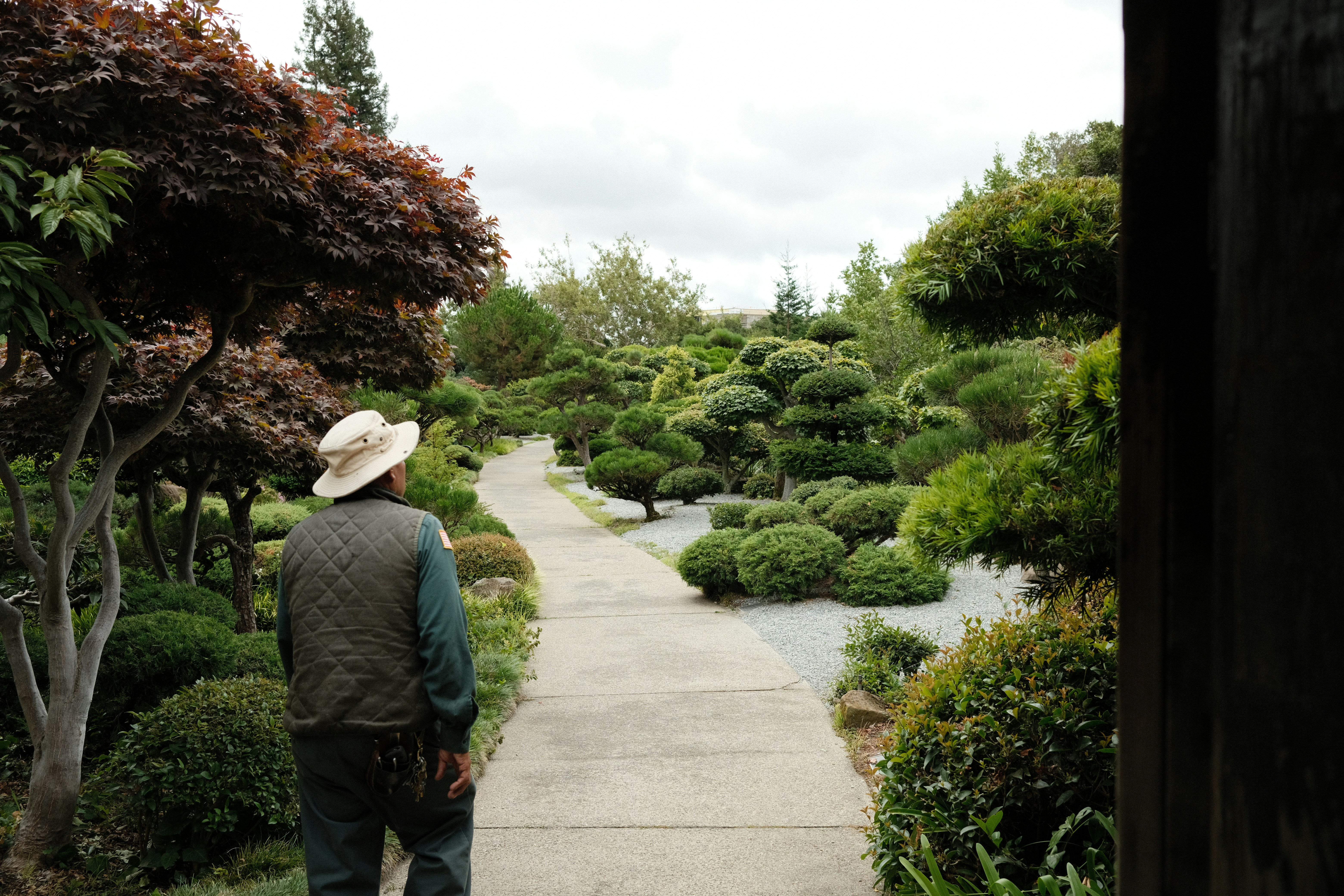 Garden Path: A Gardener Turns Toward a Quiet Horizon
