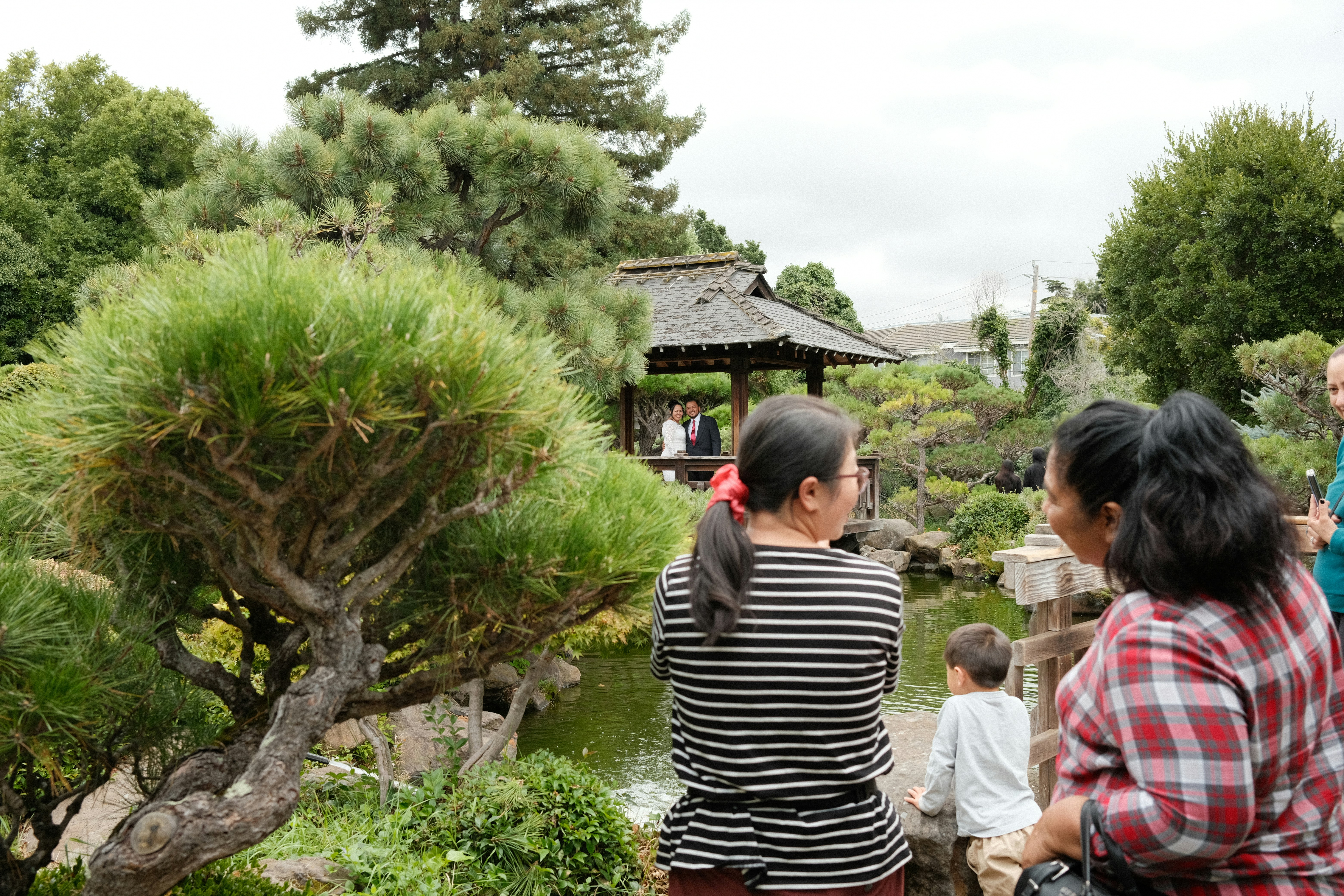 Crossing Paths at the Japanese Garden