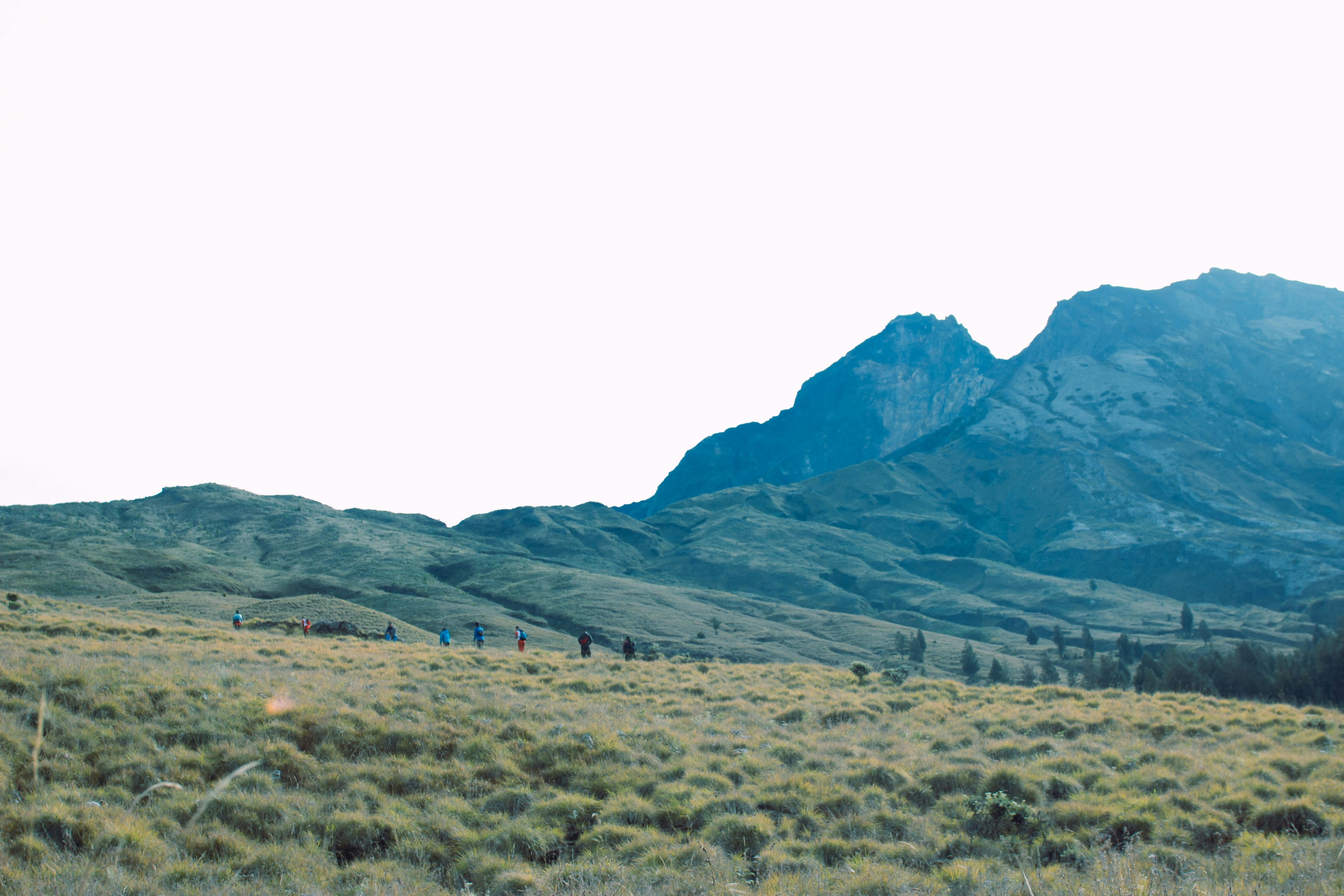 savana track on south track of rinjani