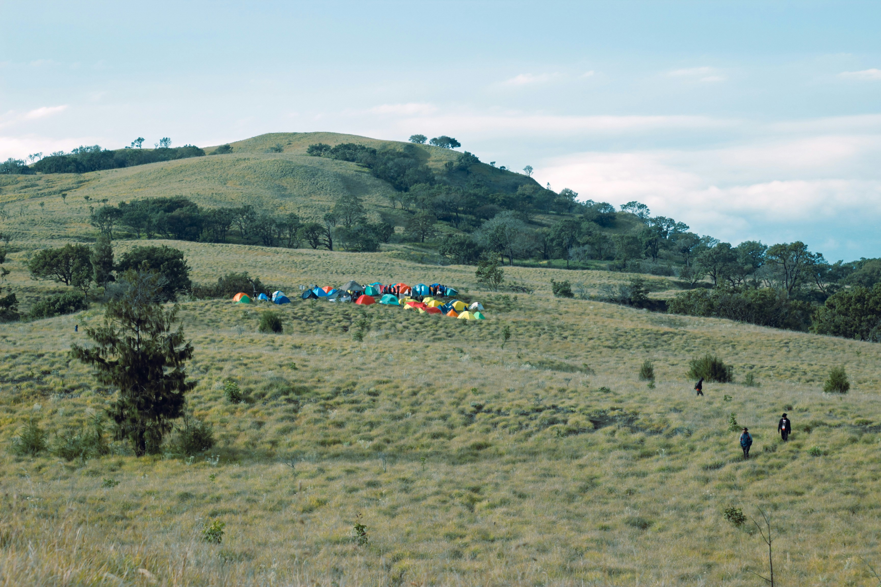 A vibrant cluster of tents set against a backdrop of gentle hills and sparse trees, capturing the essence of outdoor adventure.