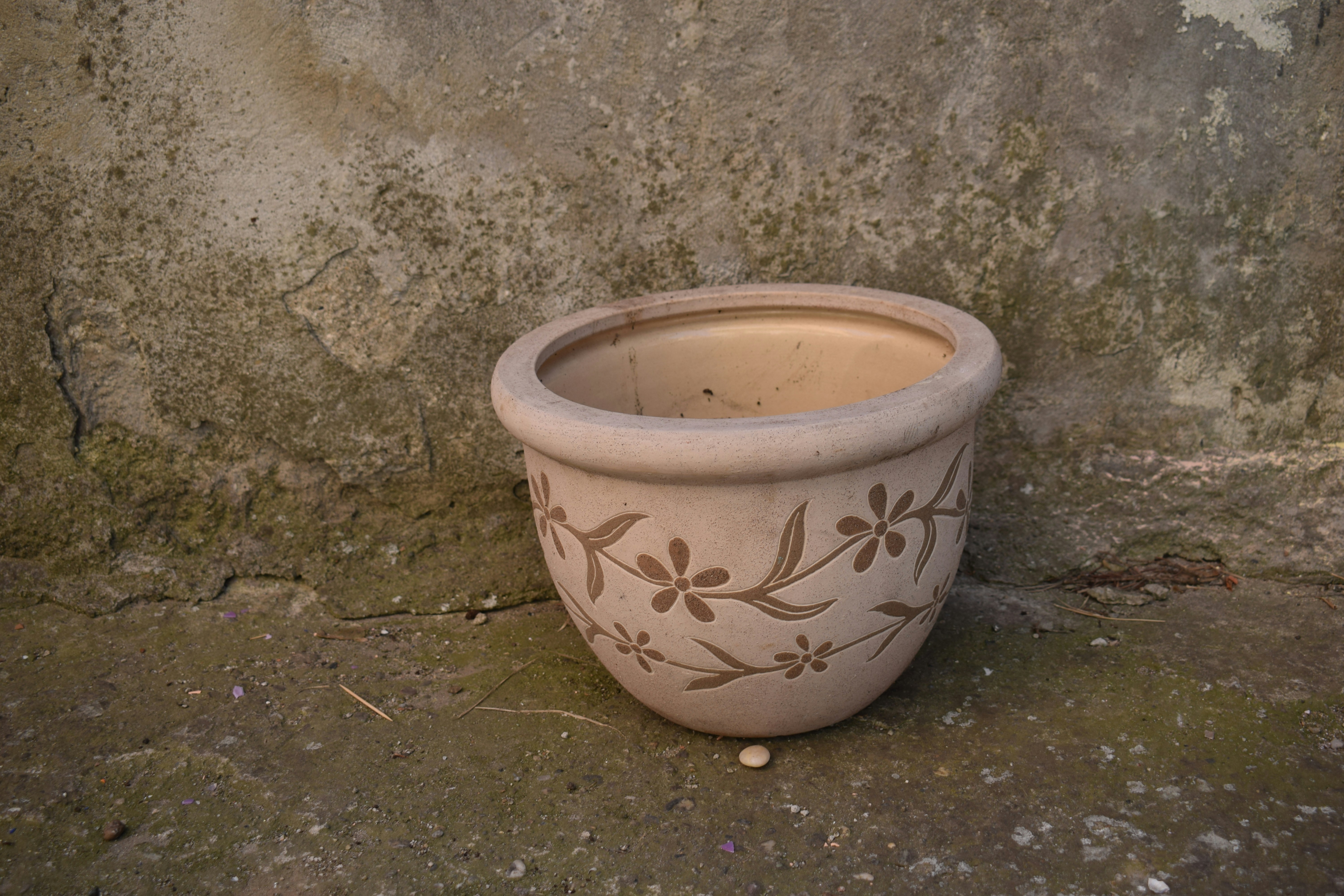 Photo by Marija Zaric with Nikon D5300