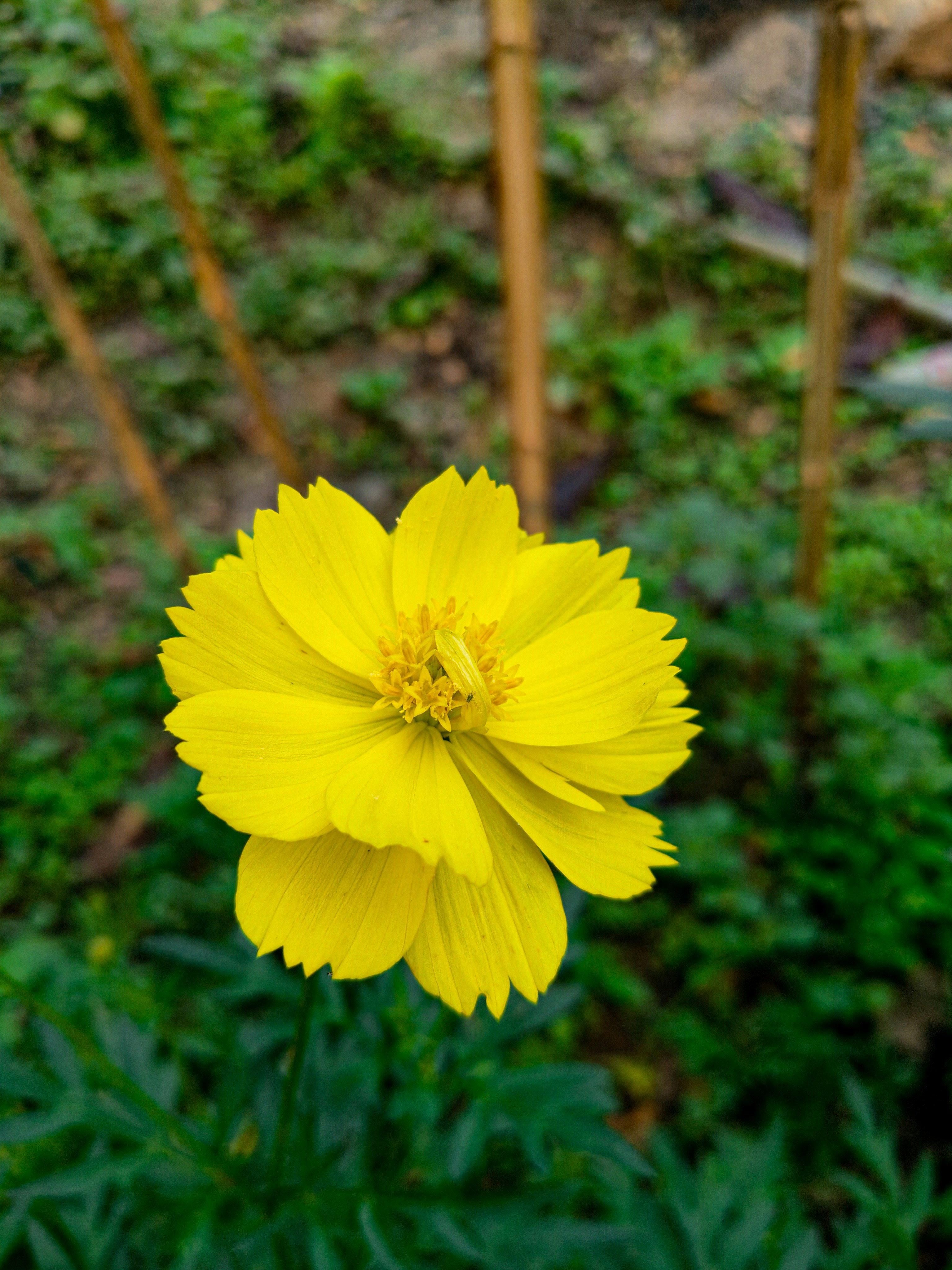 Rupan kurmi (@rupan_kurmi) | Comunidade de fotos da Unsplash