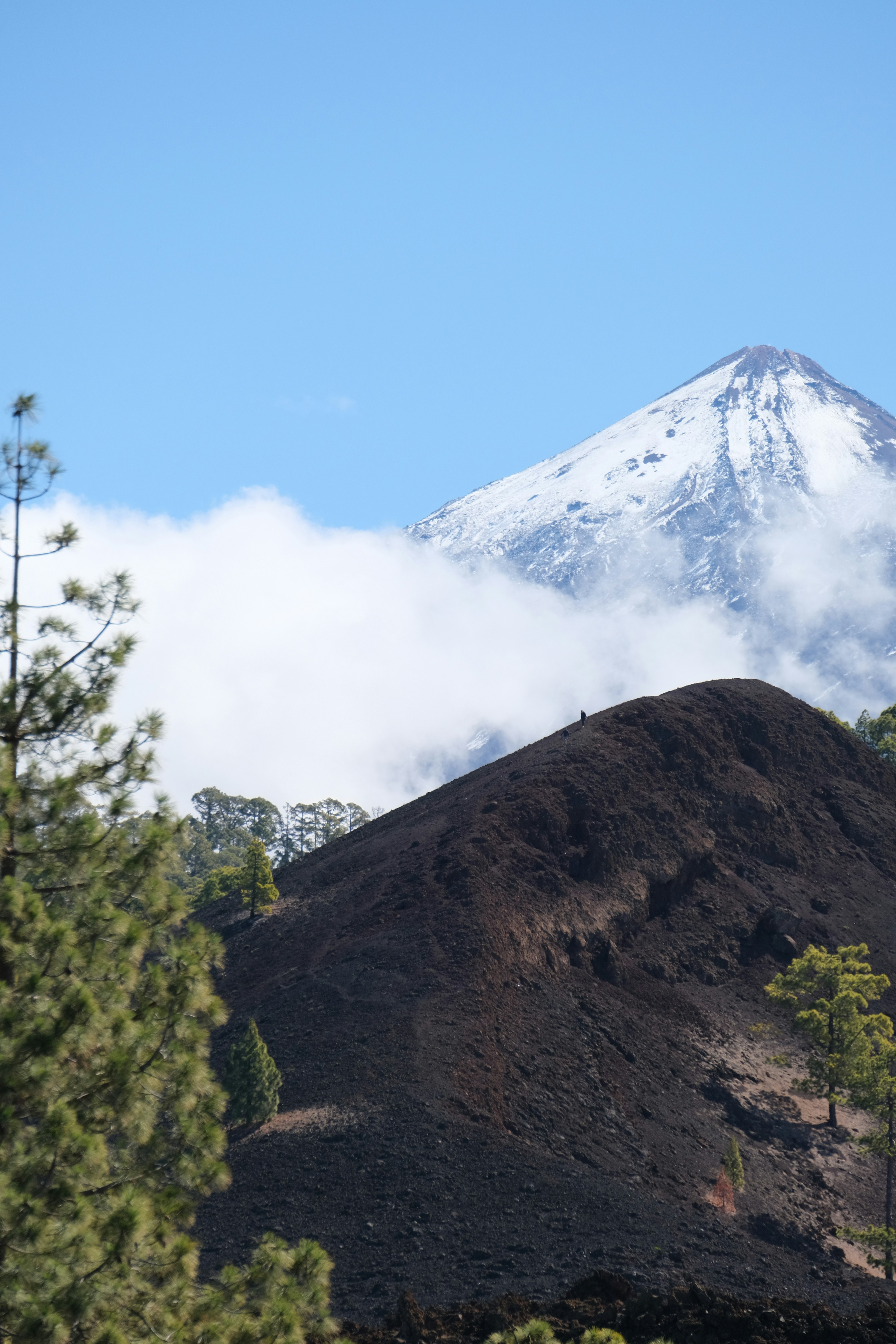 Snow-Capped Summit Over a Charred Volcano Ridge