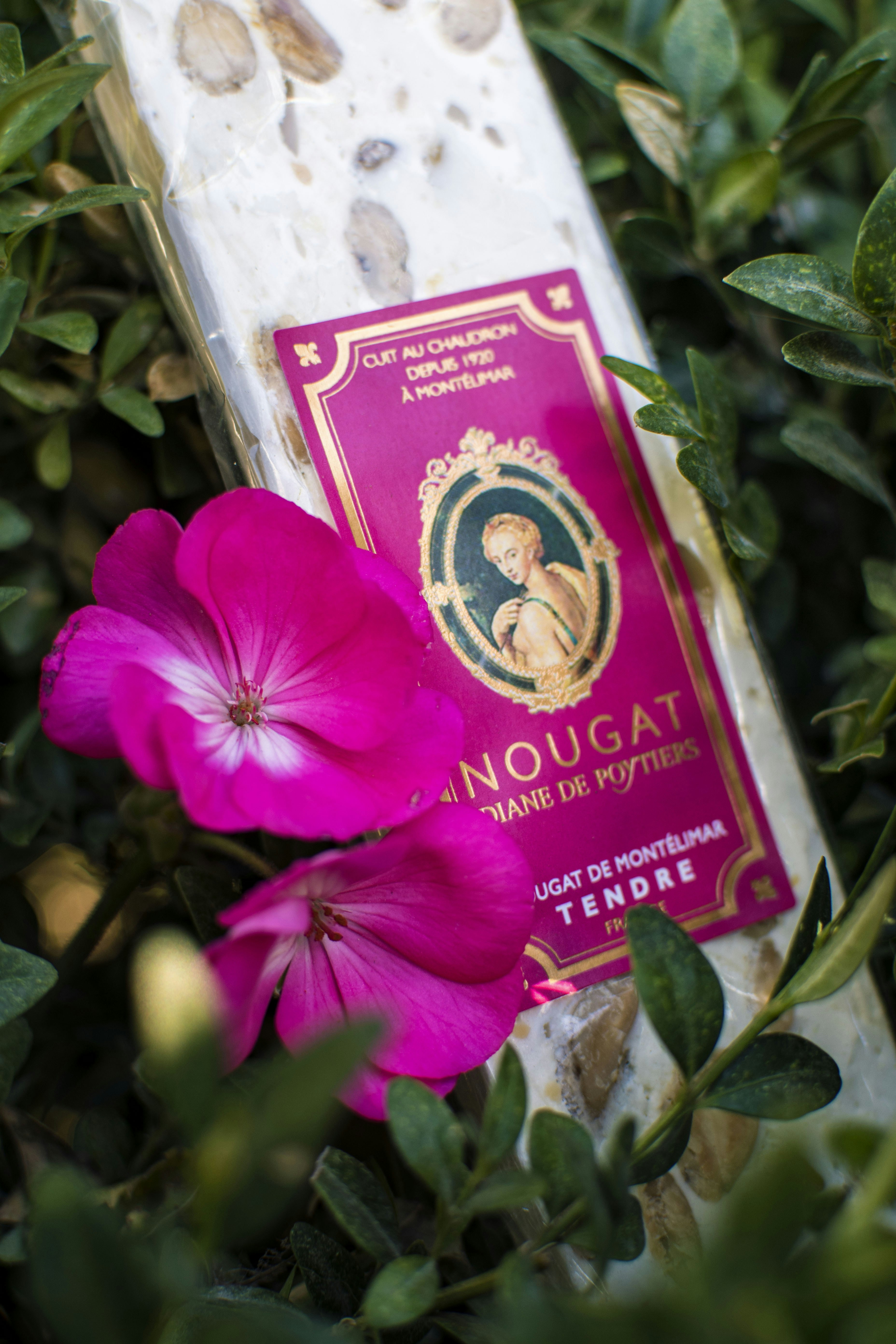 Nougat with flowers displayed in greenery.