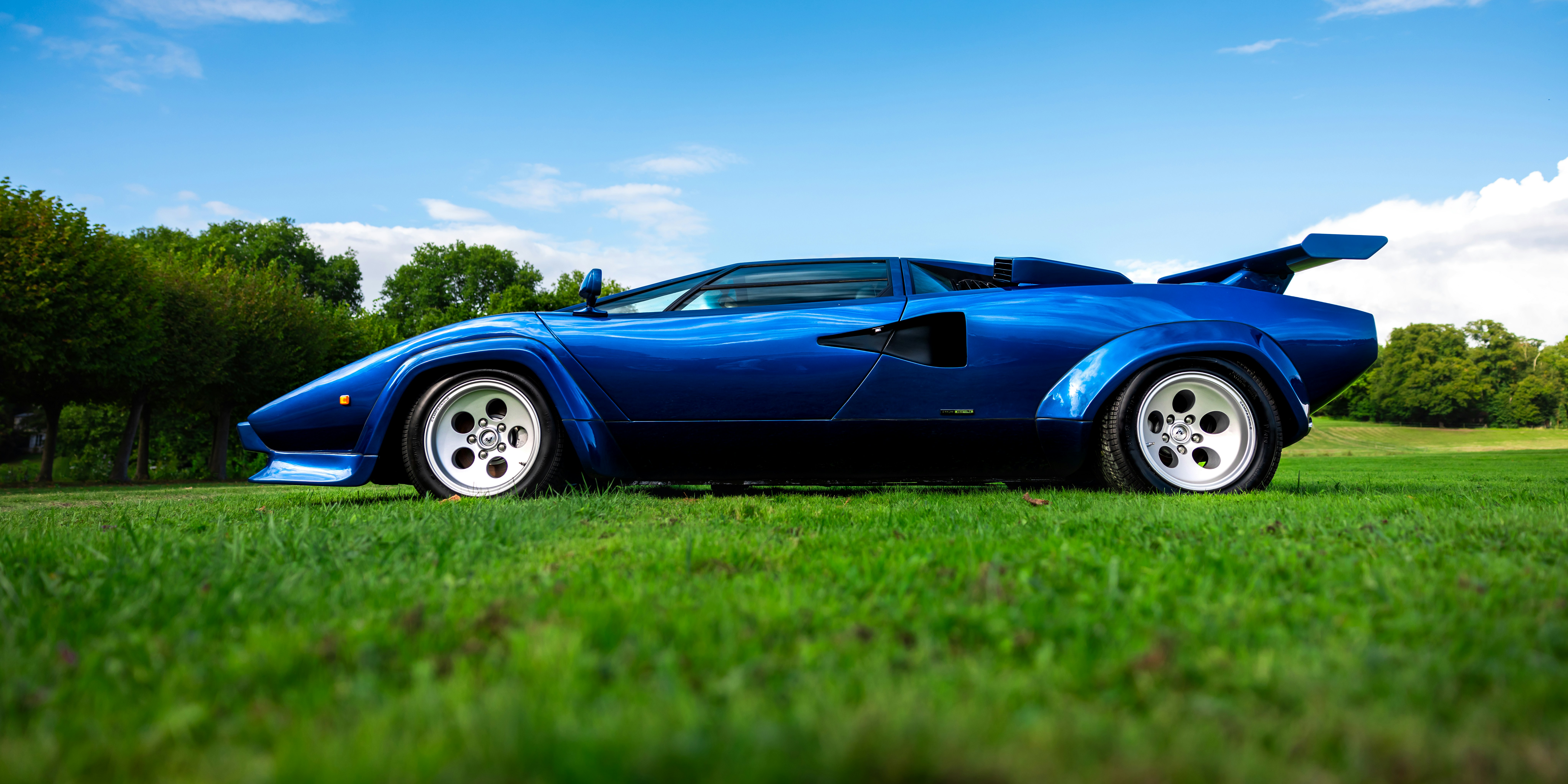 A blue lamborghini countach sits in a grassy field. photo – Free Car ...