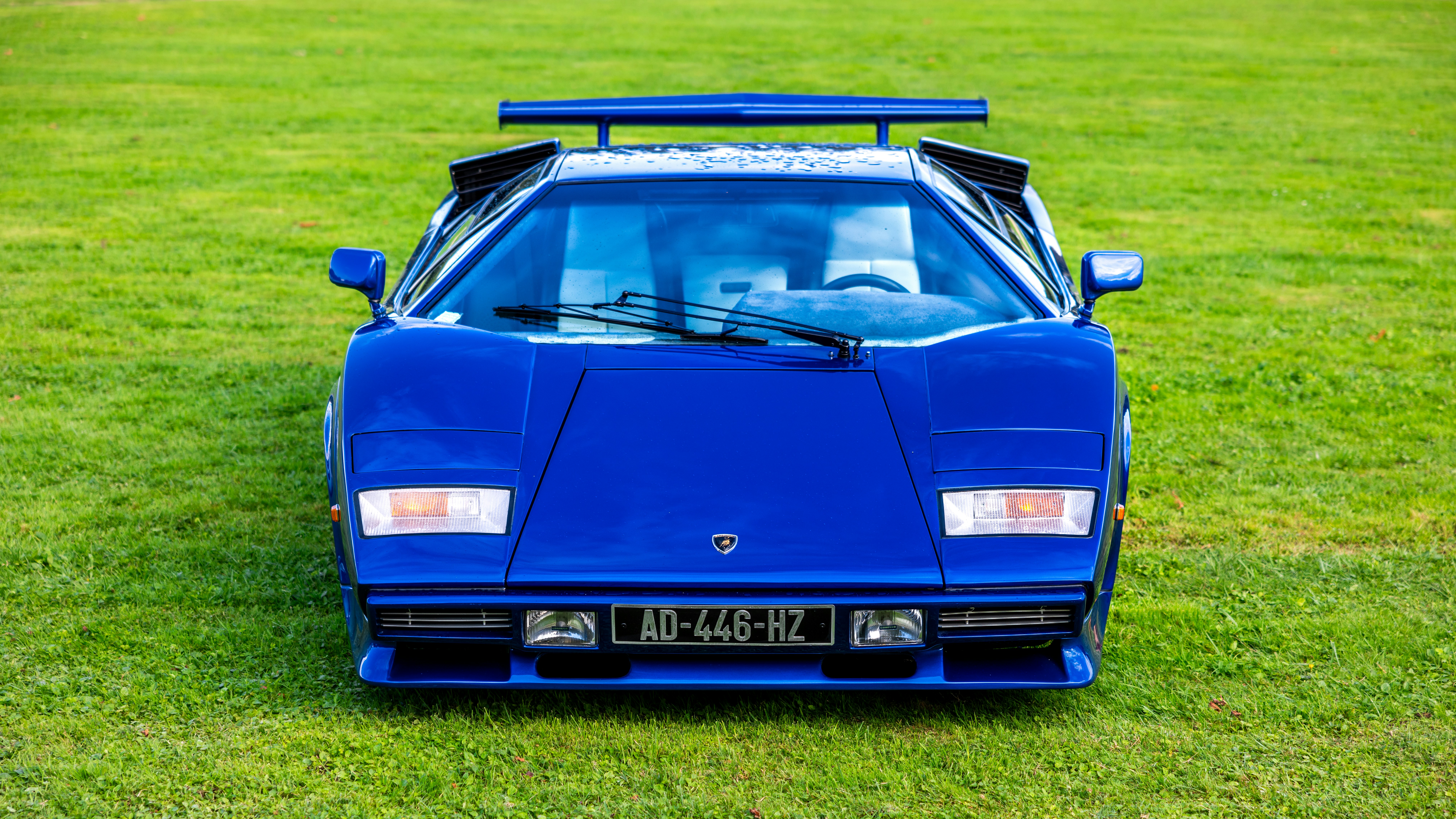 A blue lamborghini countach sits on green grass. photo – Free Car Image ...