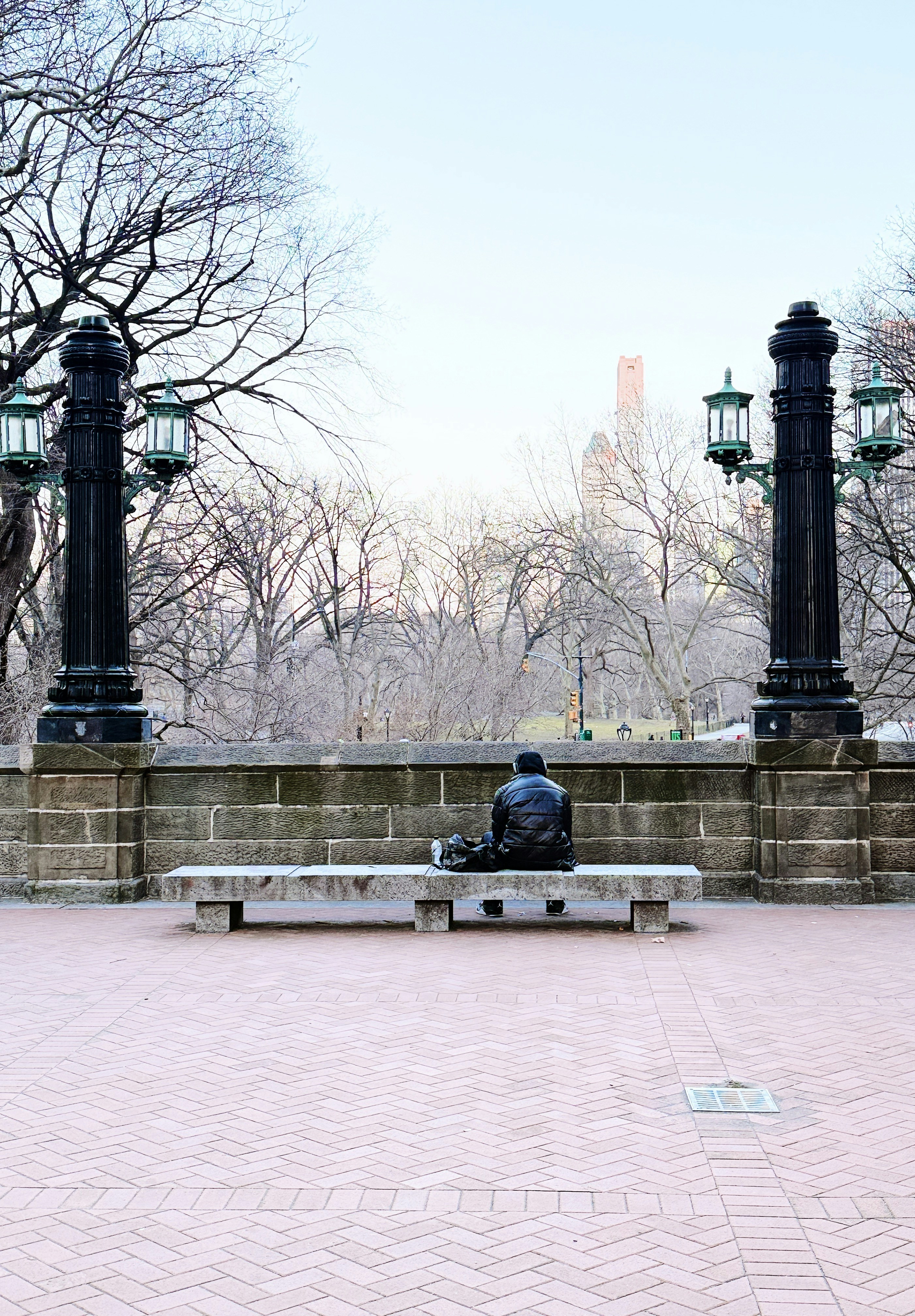 Solitude Amidst the Urban Landscape