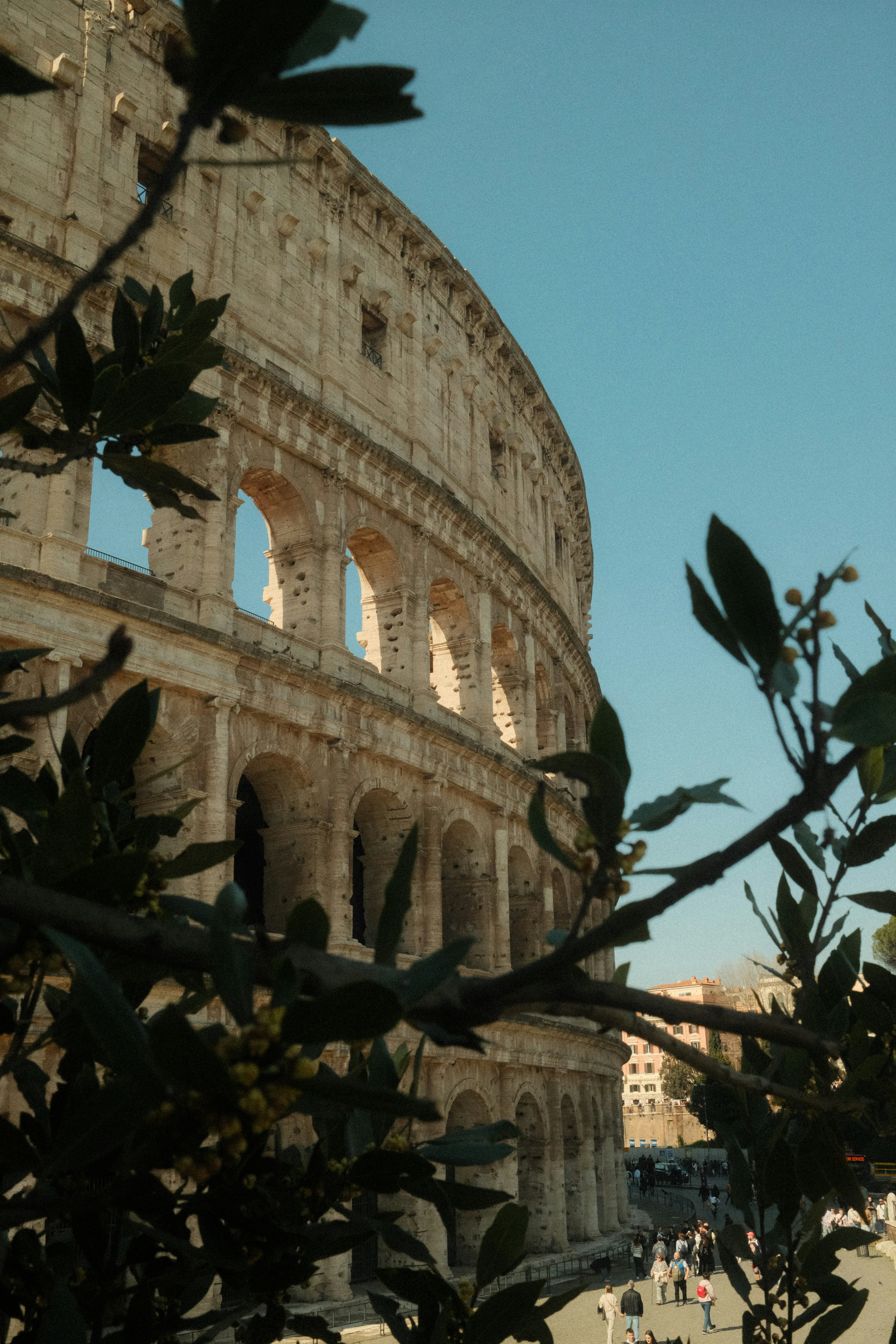 Ancient Colonnade Framed by Branches in Golden Hour