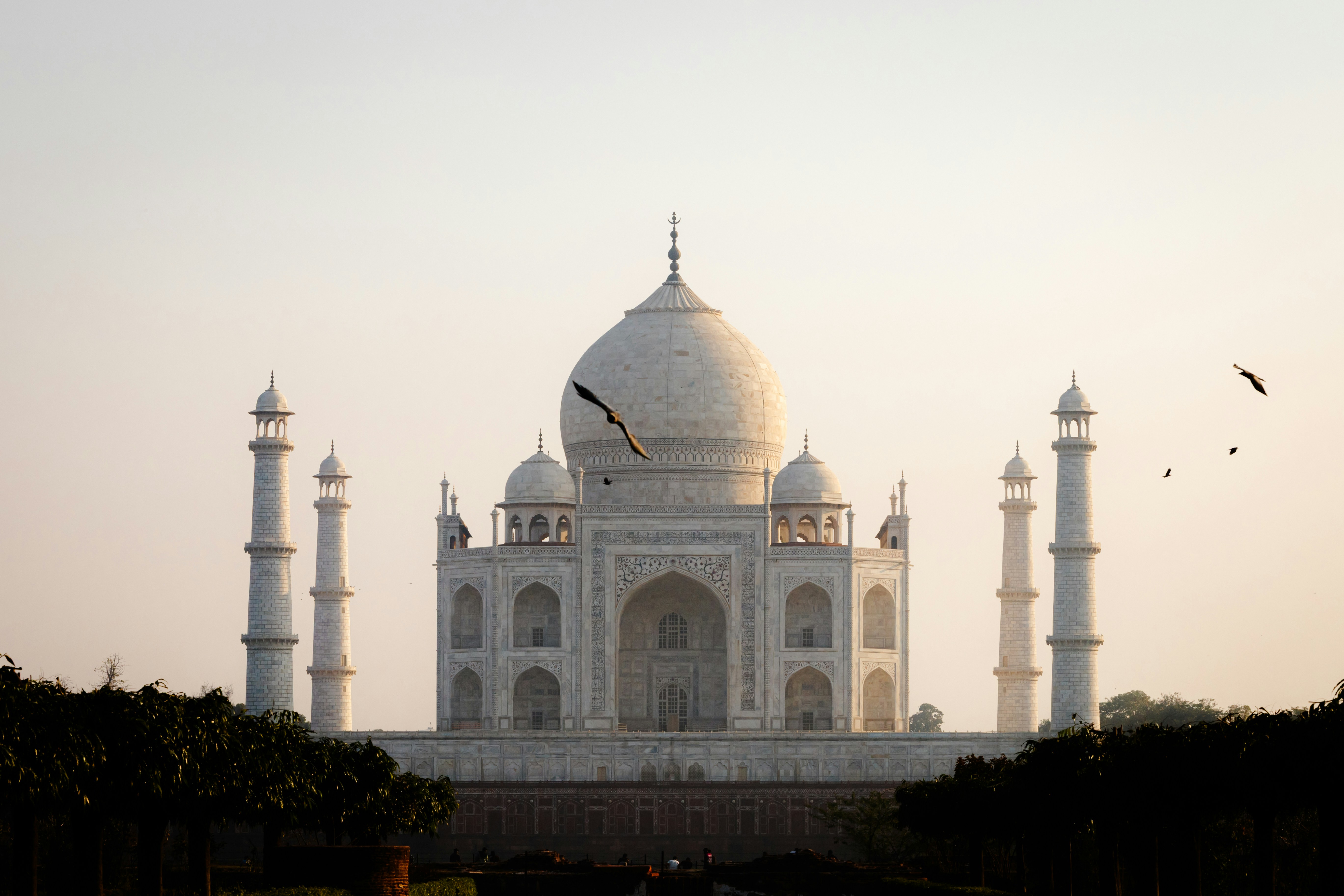 Taj Mahal framed against a pastel sky with birds in flight.