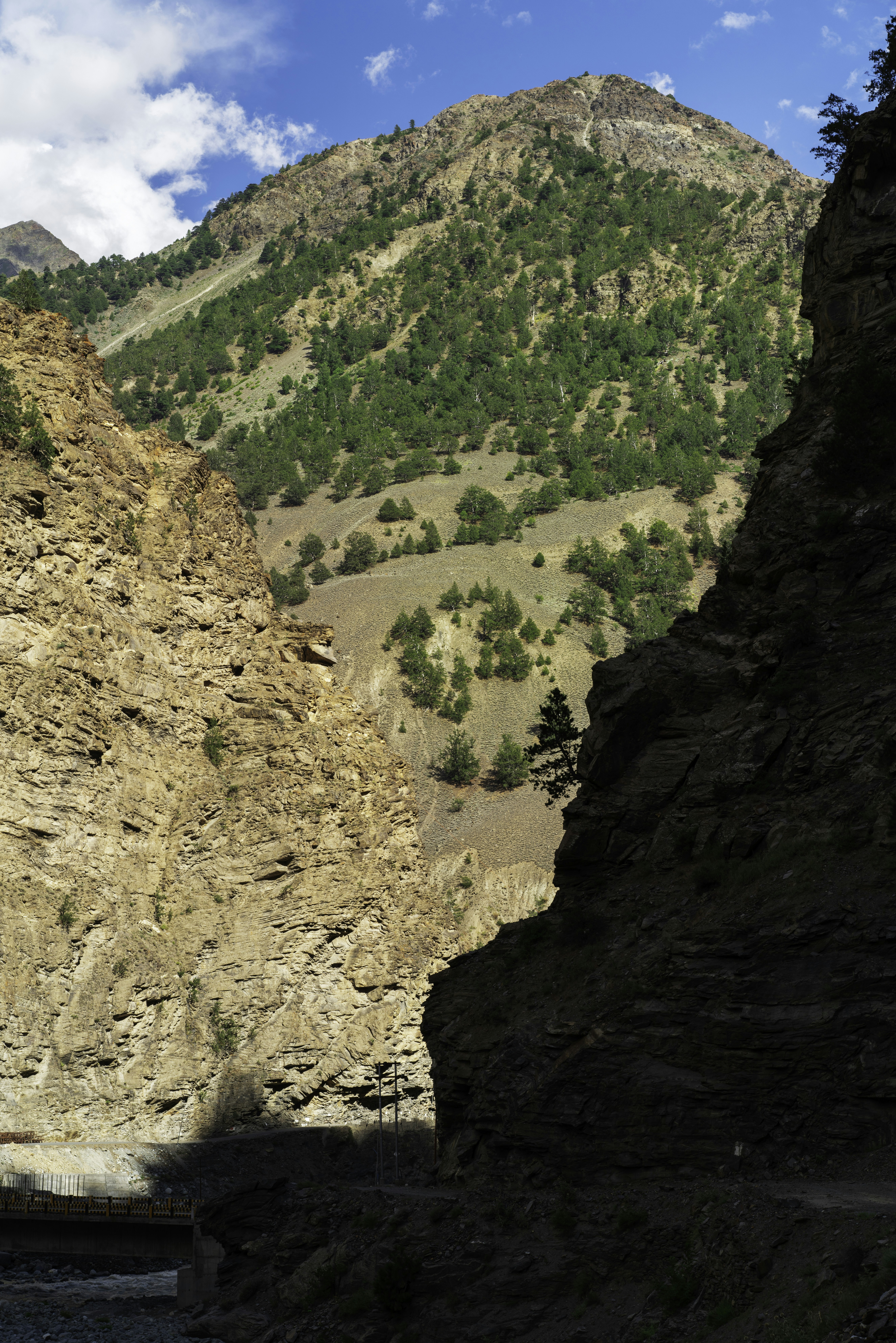 Nature's Sculpted Canvas: A Rocky Embrace