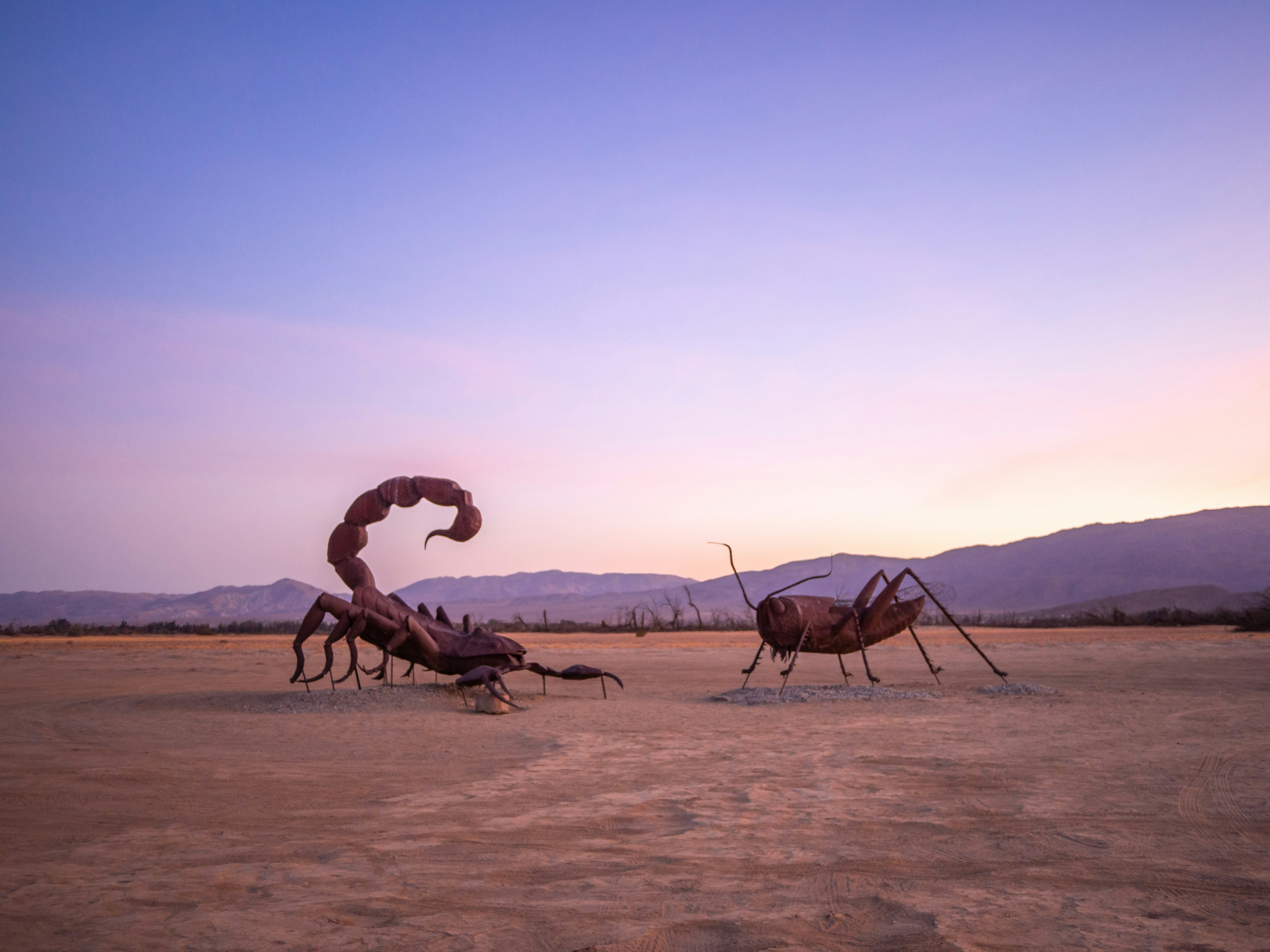 Giant metal sculptures of a scorpion and an ant stand in a barren desert landscape at dusk, showcasing artistic ingenuity against a colorful sky.