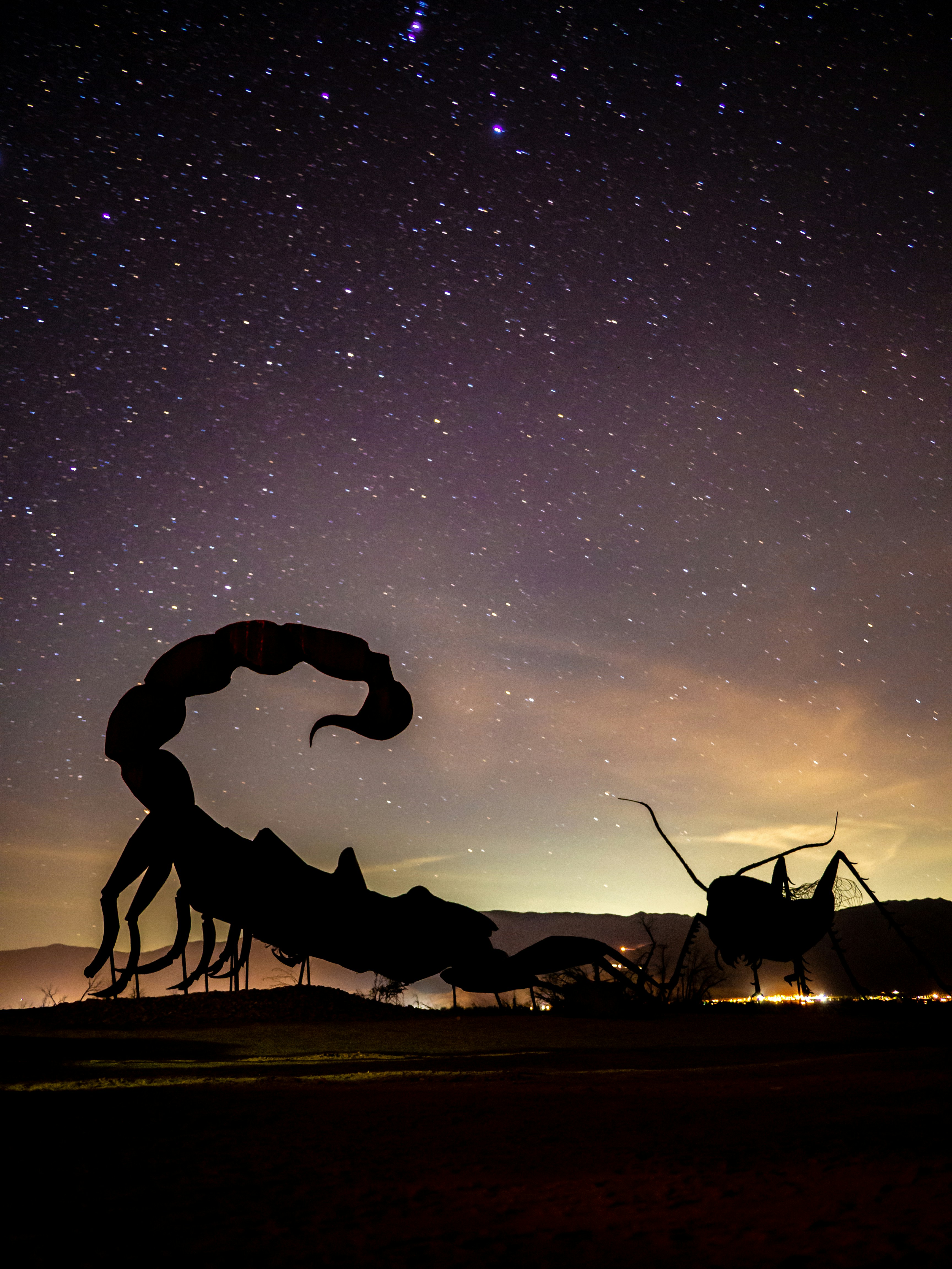 Photo by Yoav Aziz with Olympus OM-D E-M10 Mark III