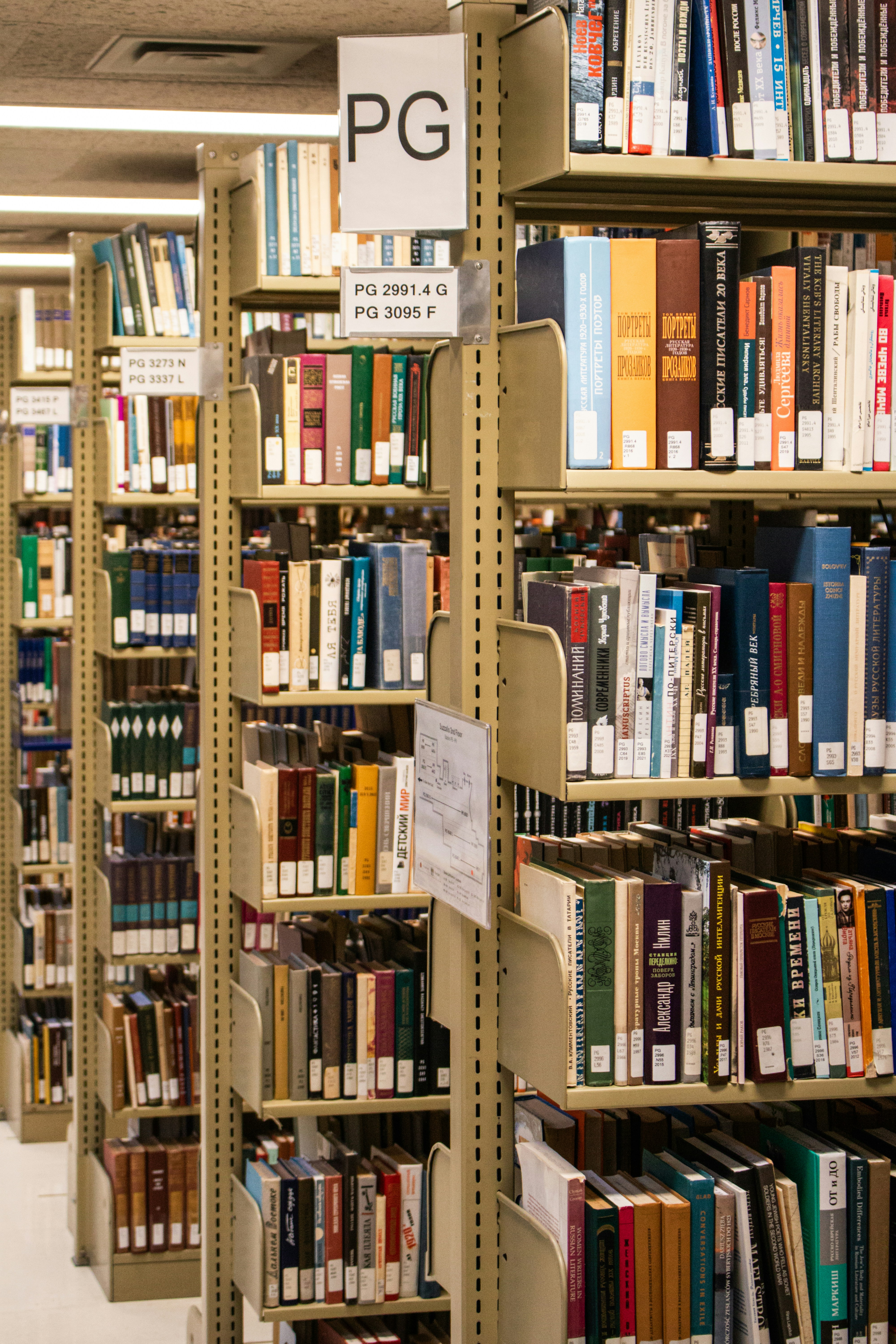 Rows of books in a well-stocked library. photo – Free Books Image on ...