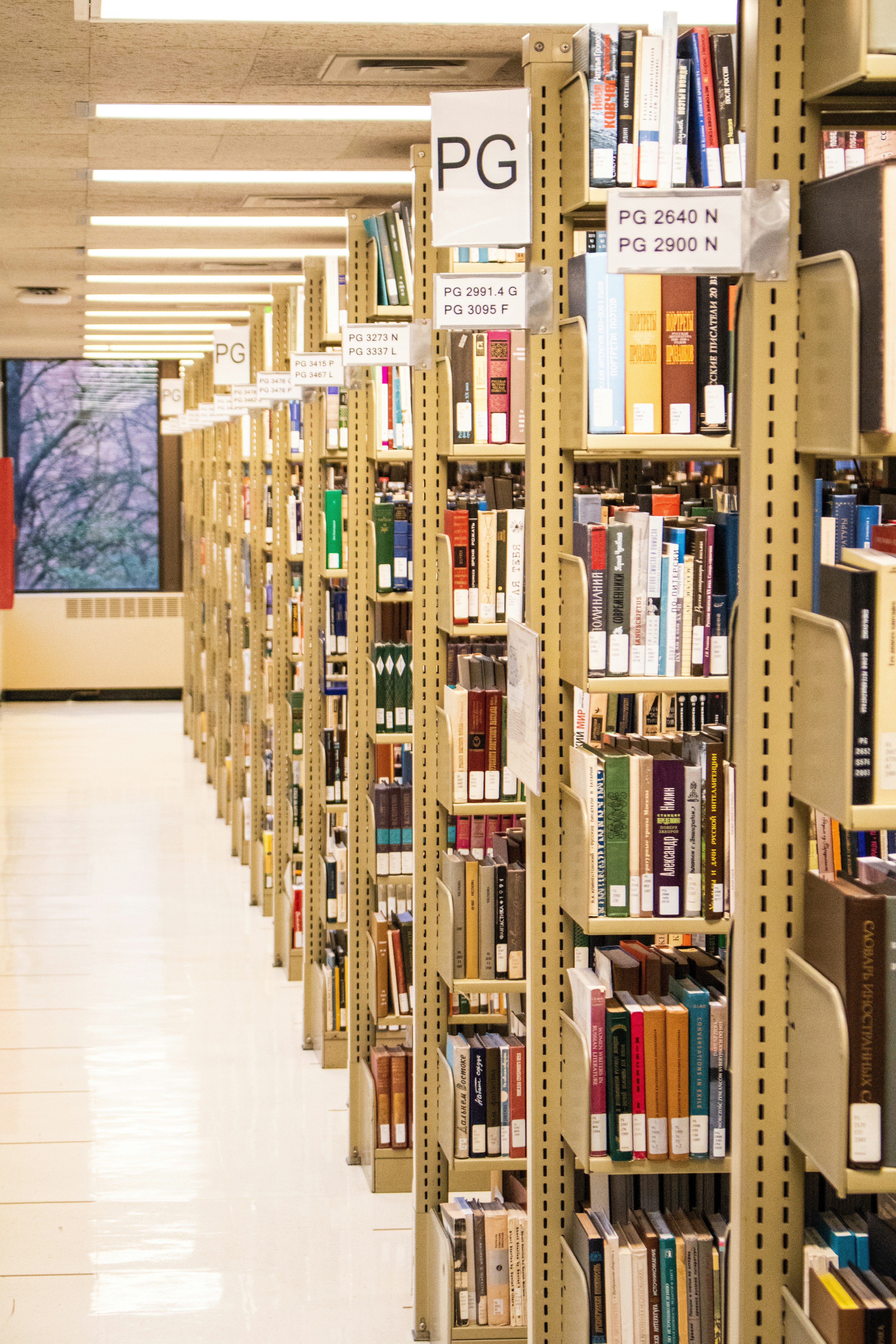 Library bookshelves with books are arranged in rows. photo – Free Books ...