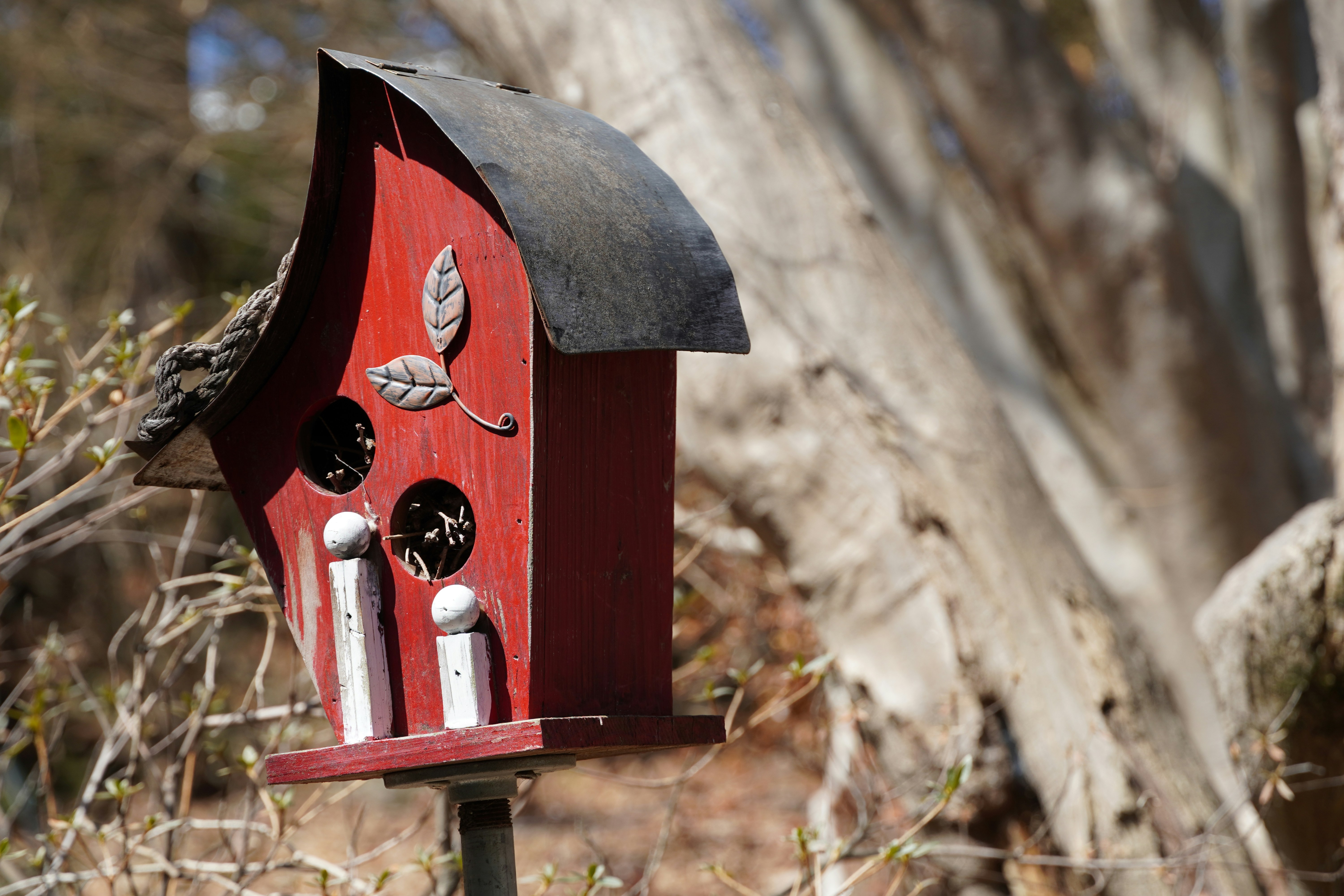 Red birdhouse stands in front of a tree. photo – Free Architecture ...