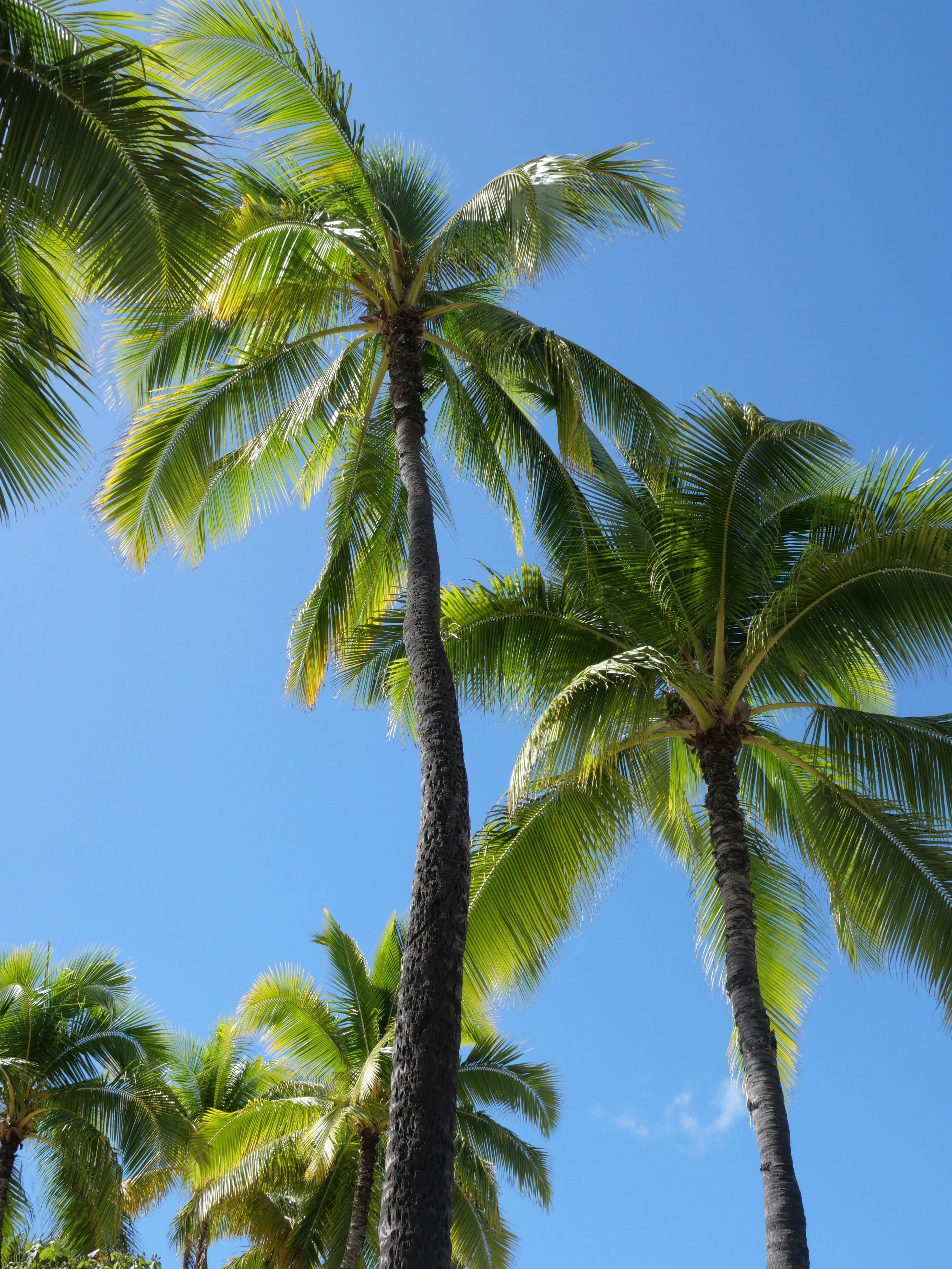 Photo by Leya Hempel with Panasonic Lumix G110