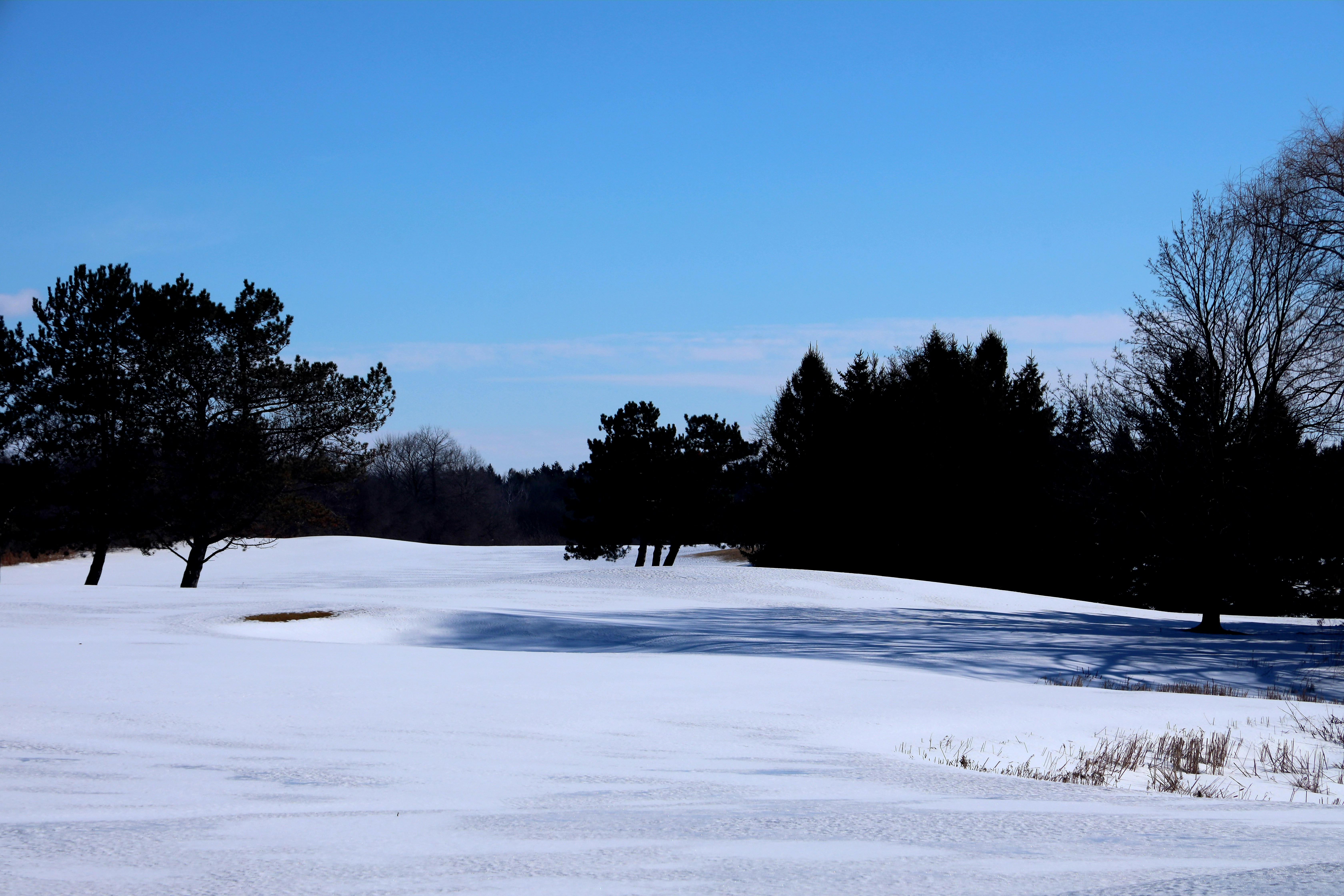 A snowy golf course sits under a clear sky. photo – Free Scenery Image ...