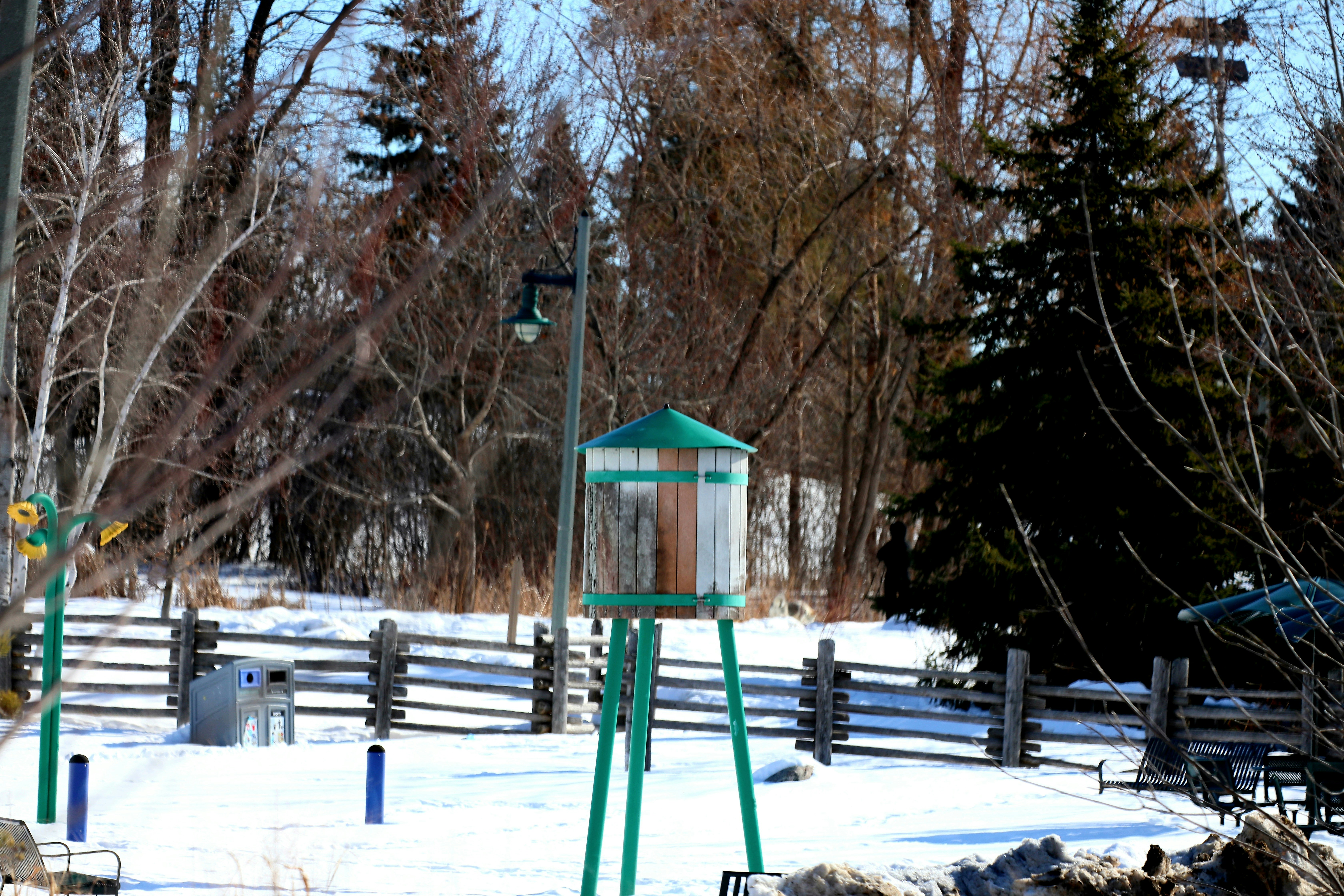 Green-Roofed Lookout Over a Snow-Quiet Playground