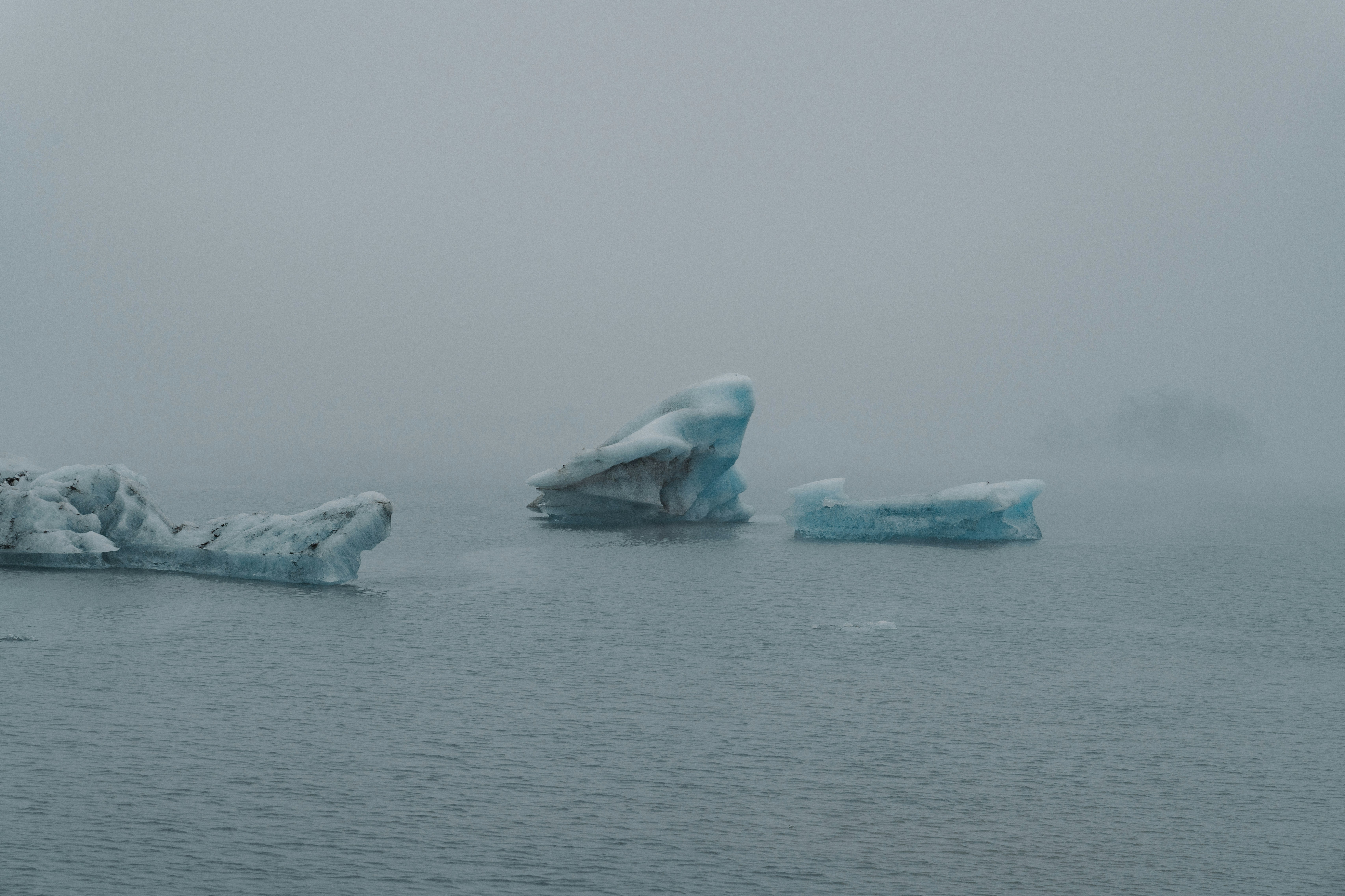 Icebergs drift through a fog-covered ocean.