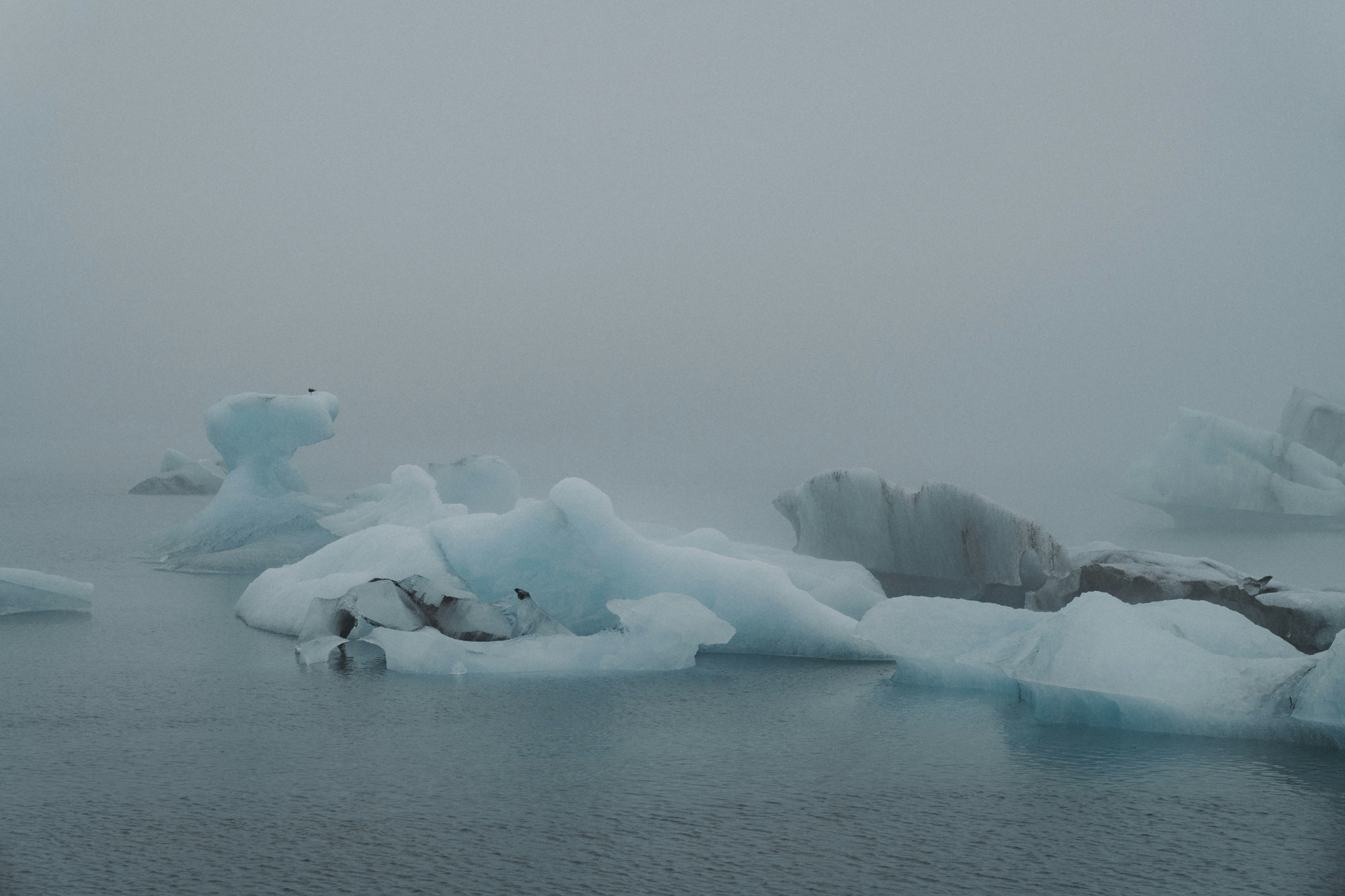 Icebergs drift through foggy waters, creating a serene, ethereal landscape.