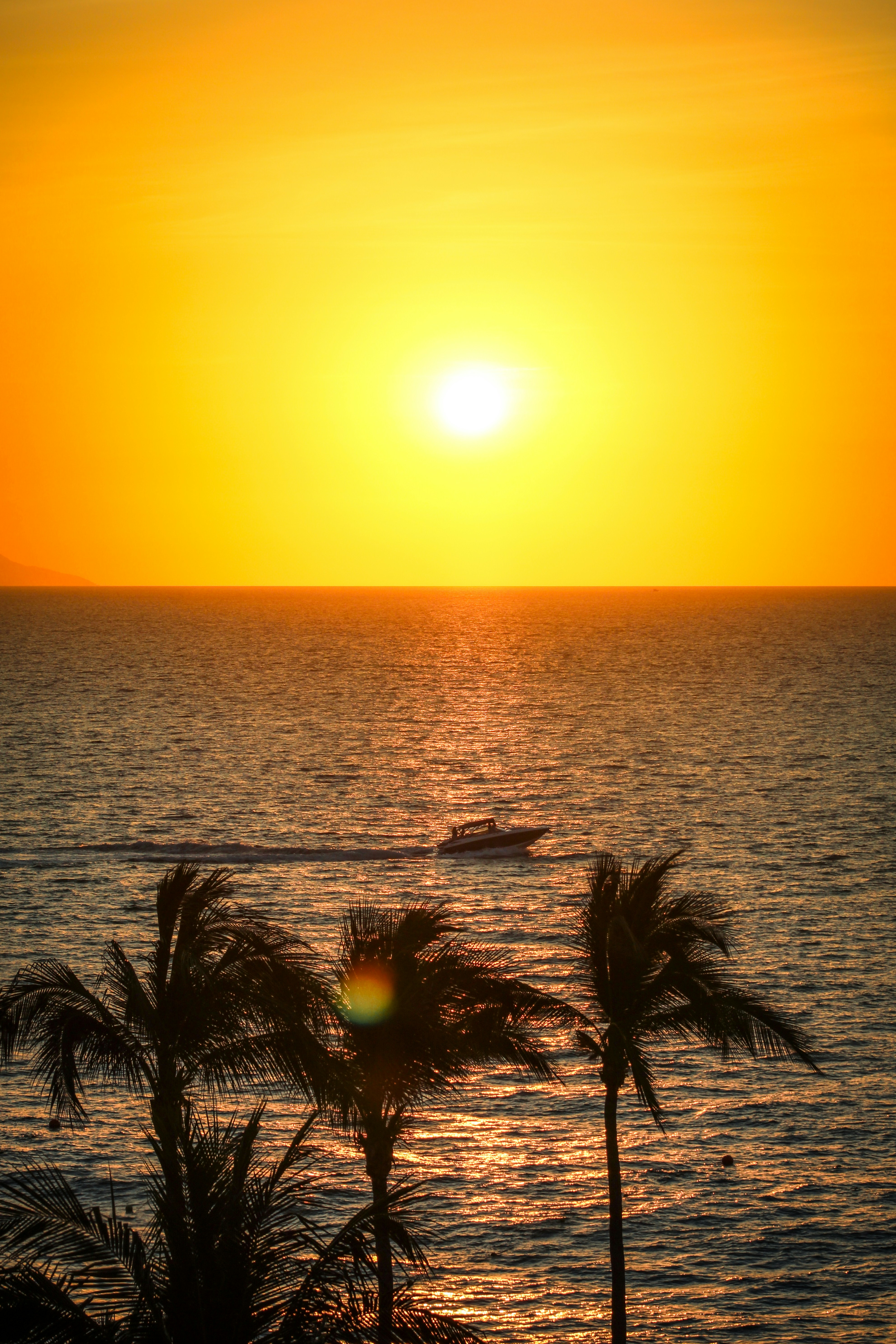 Motorboat gliding through the ocean framed by palm trees under a vibrant sunset sky.