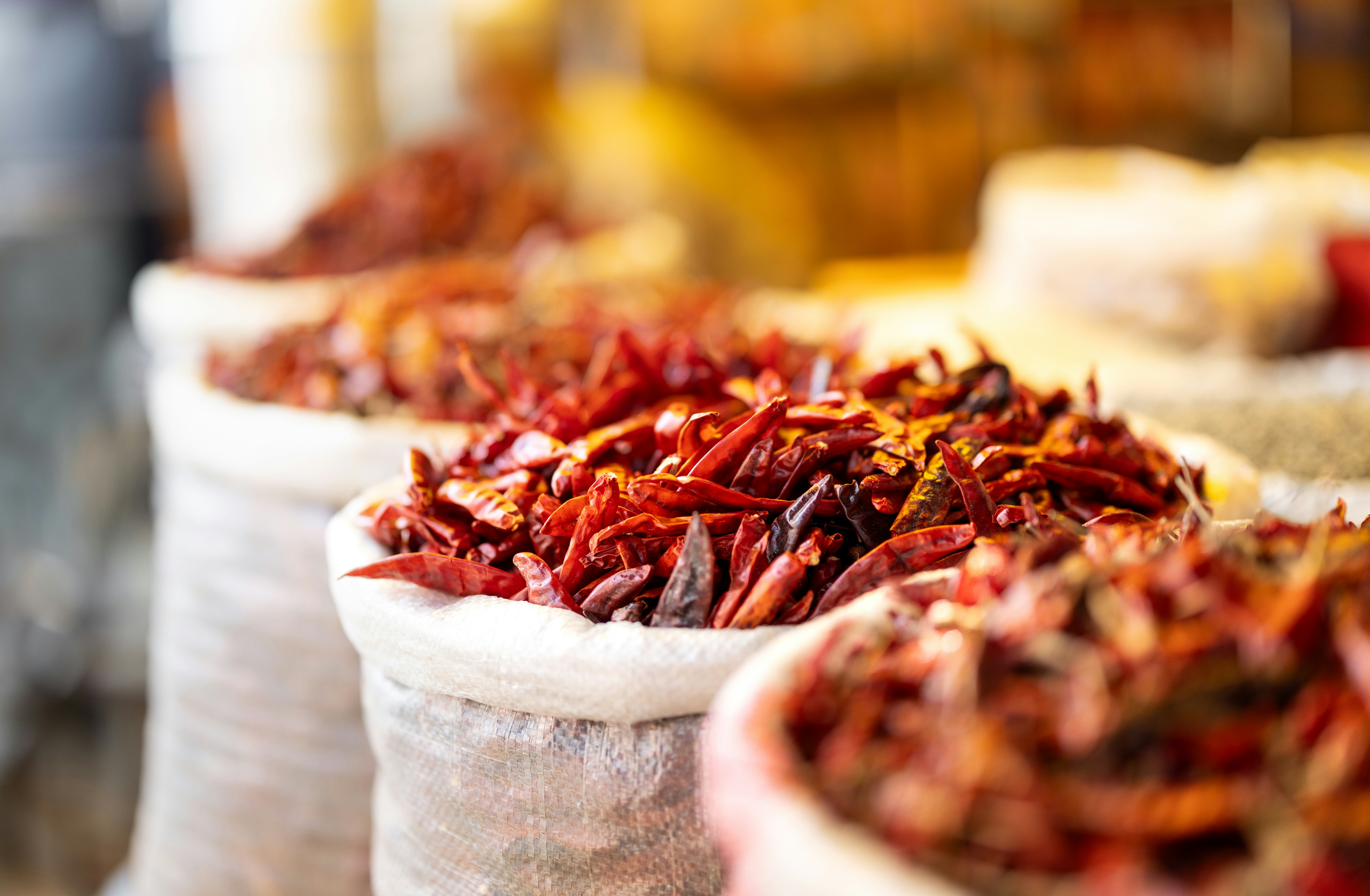 Sacks of dried chili peppers in a colorful market setting.