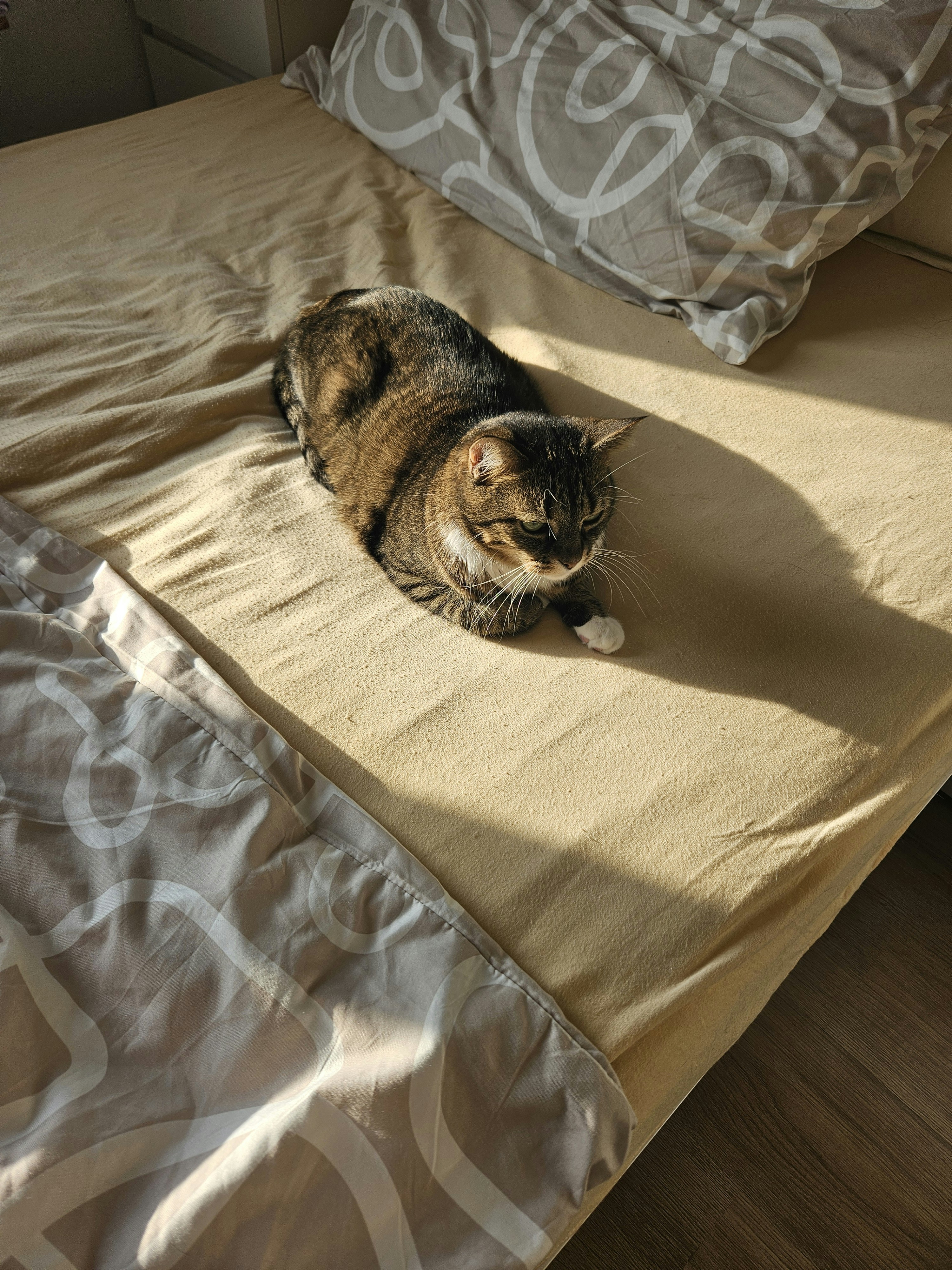 Photo by Lucie Hošová with Samsung Galaxy S23 Plus