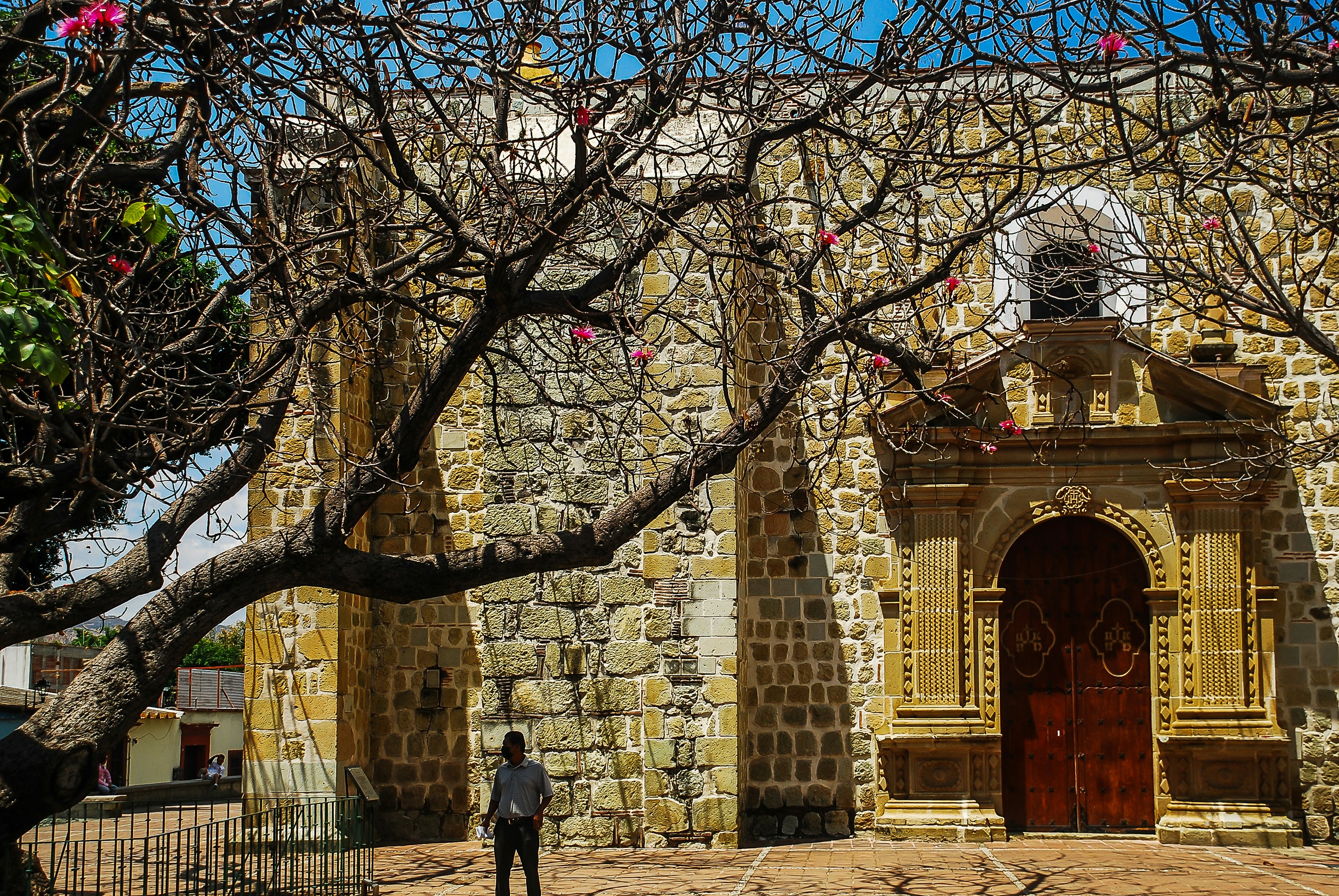 Historic stone building with a large tree in the foreground, under a bright blue sky.