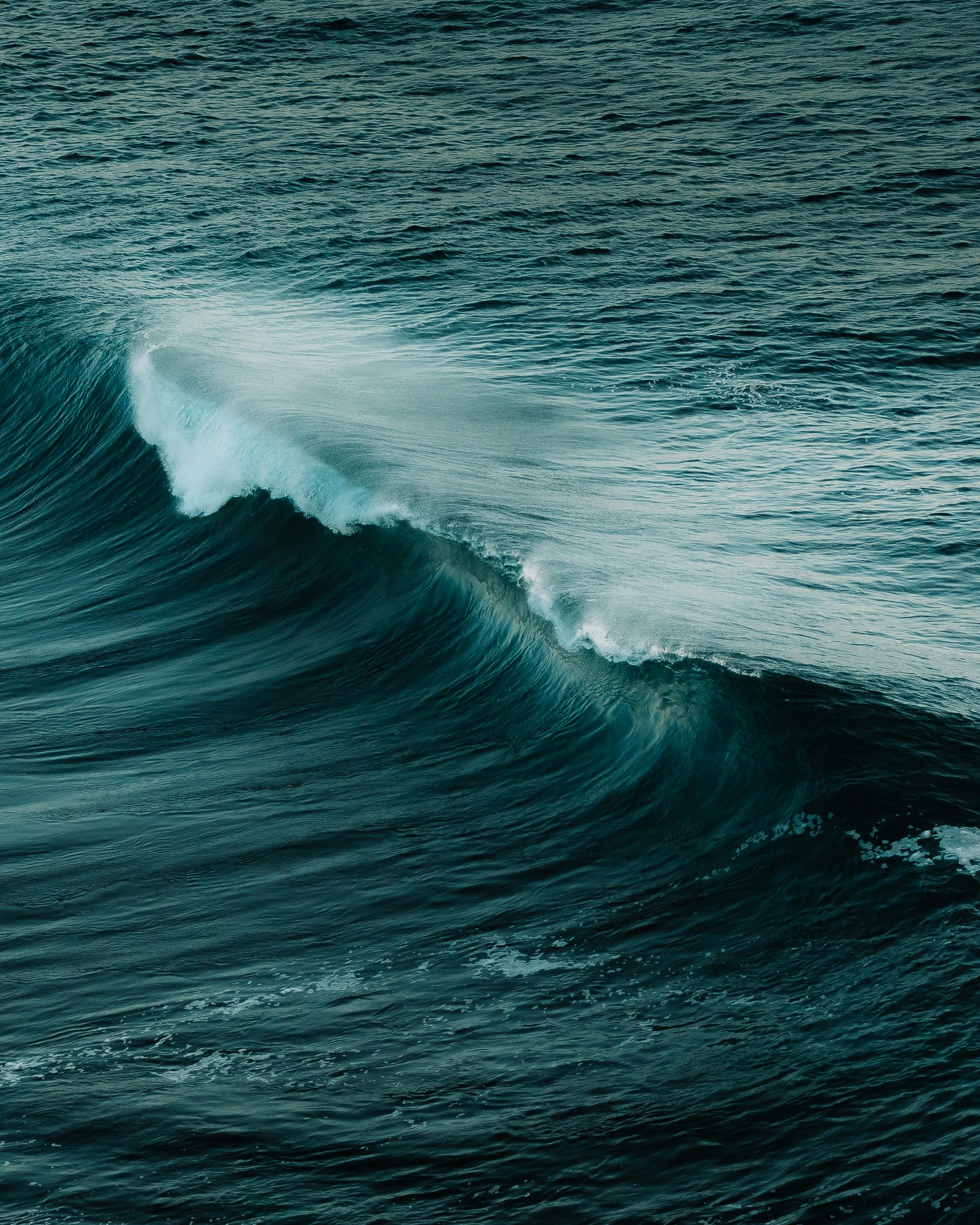 A giant wave crashes in the ocean. photo – Free Sea Image on Unsplash