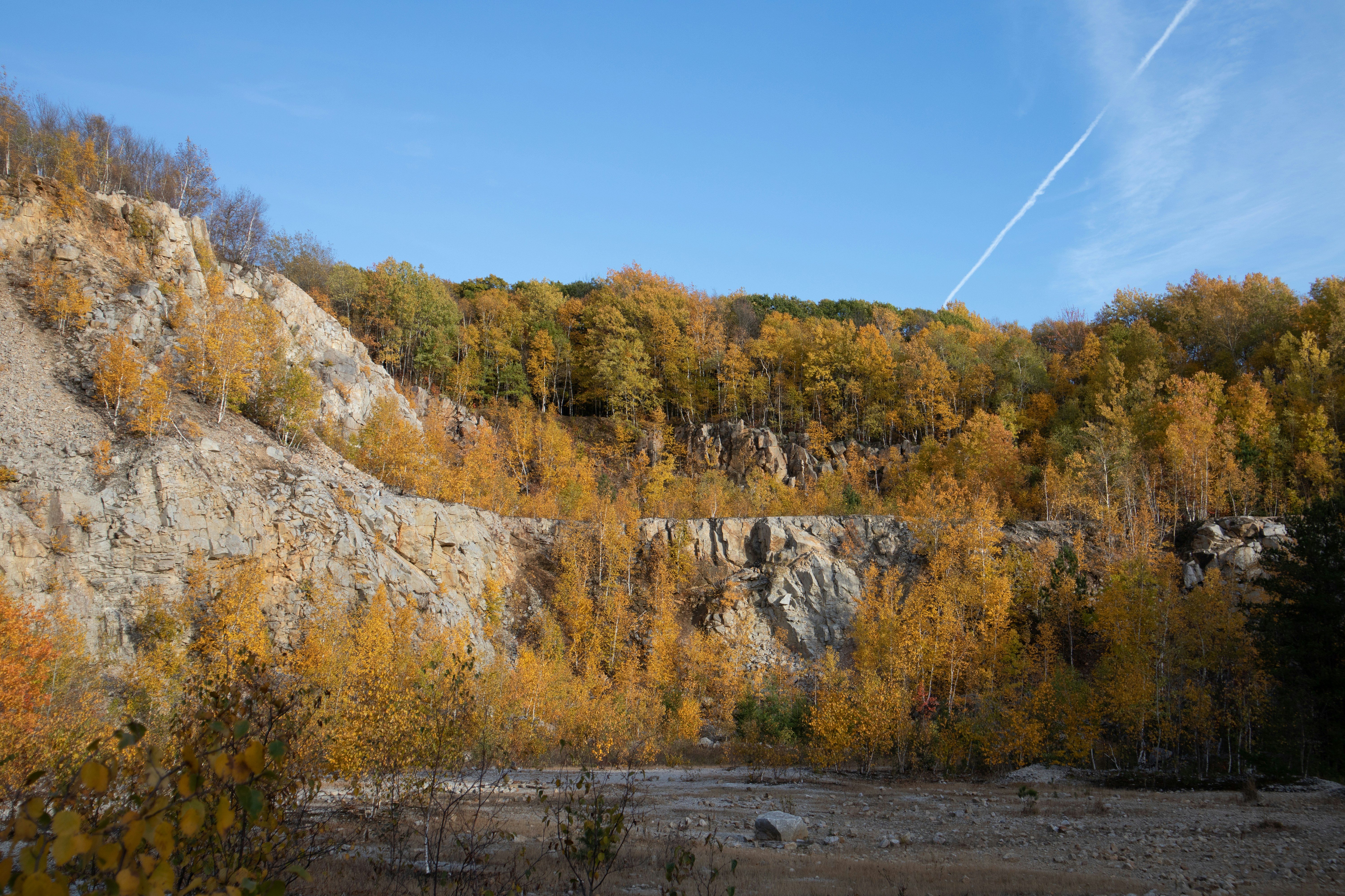 Autumn Cliffscape: Golden Trees Framing a Weathered Rock Face