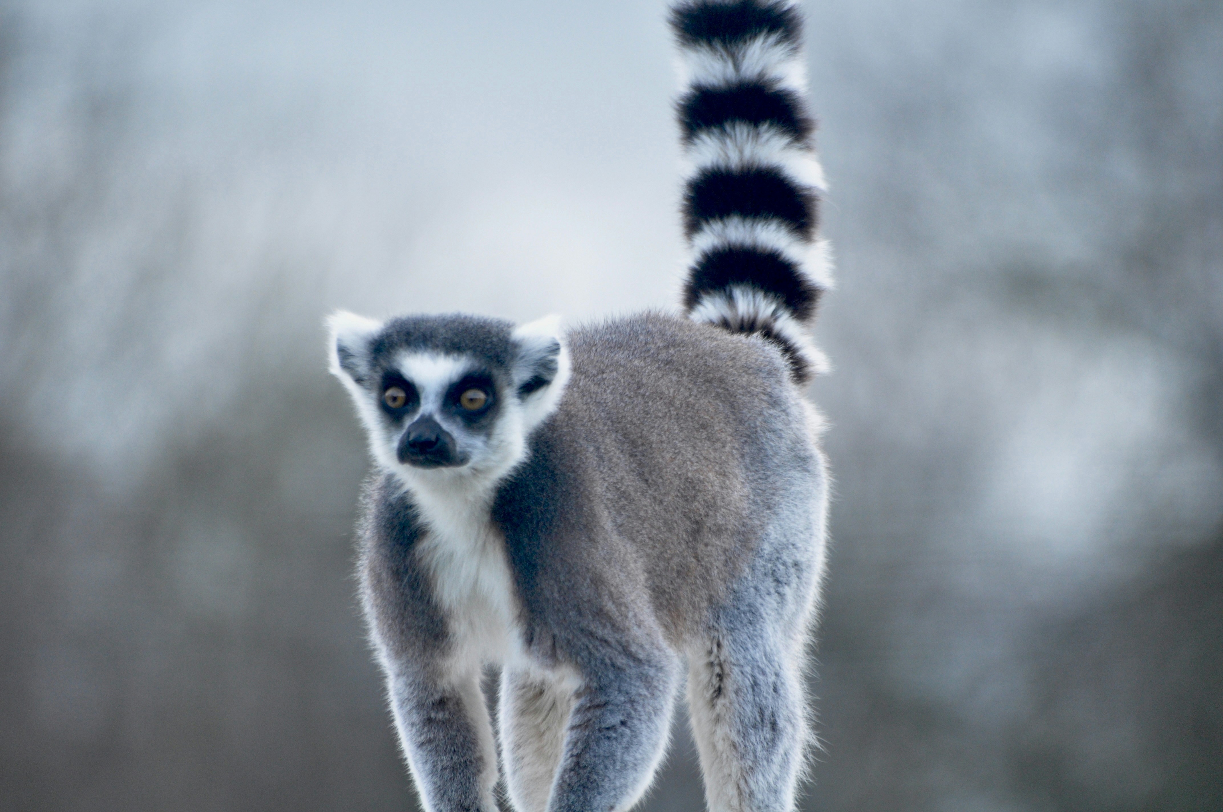 Photo by Christopher Smith with Nikon D90