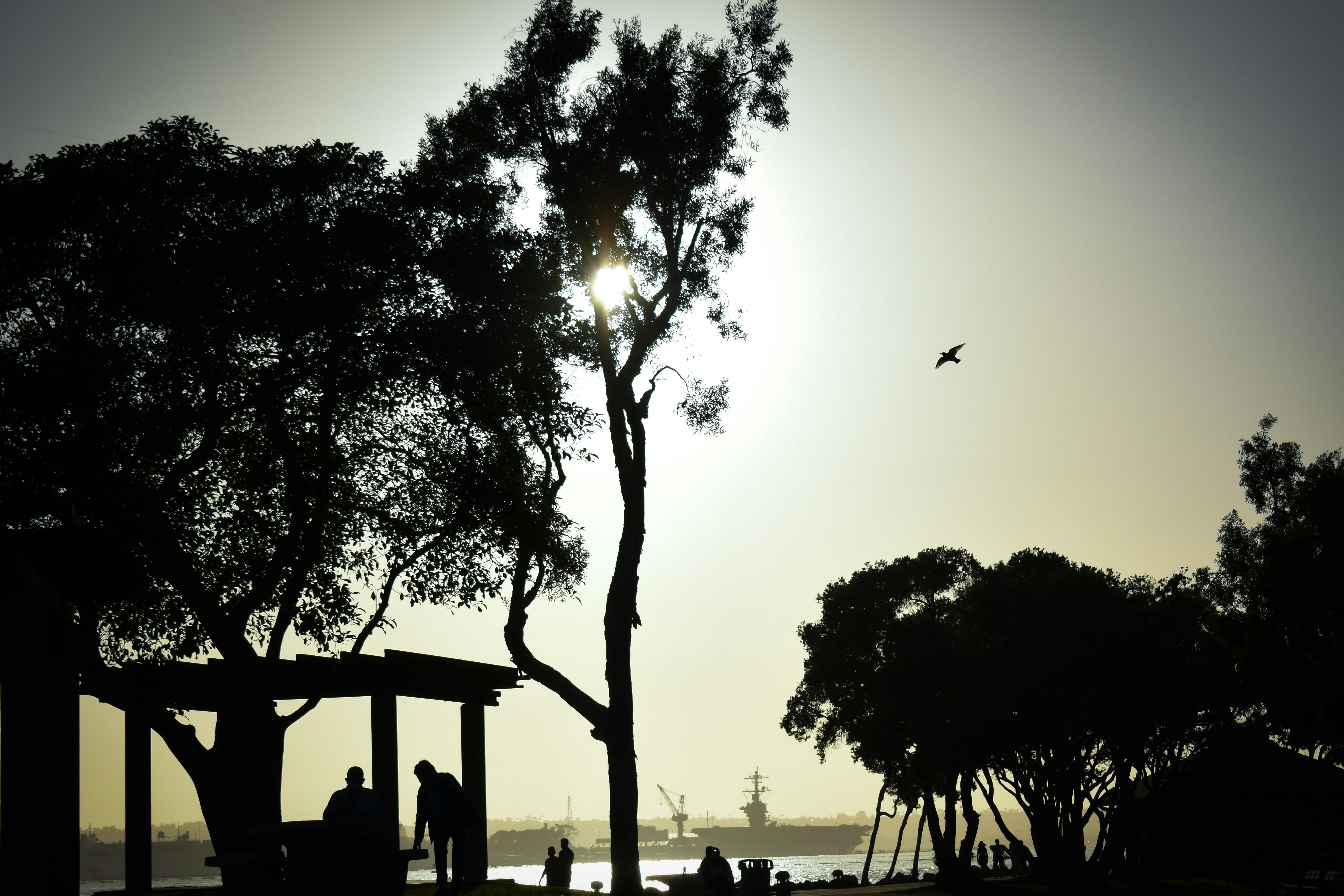 Twilight Silhouettes by the Shore