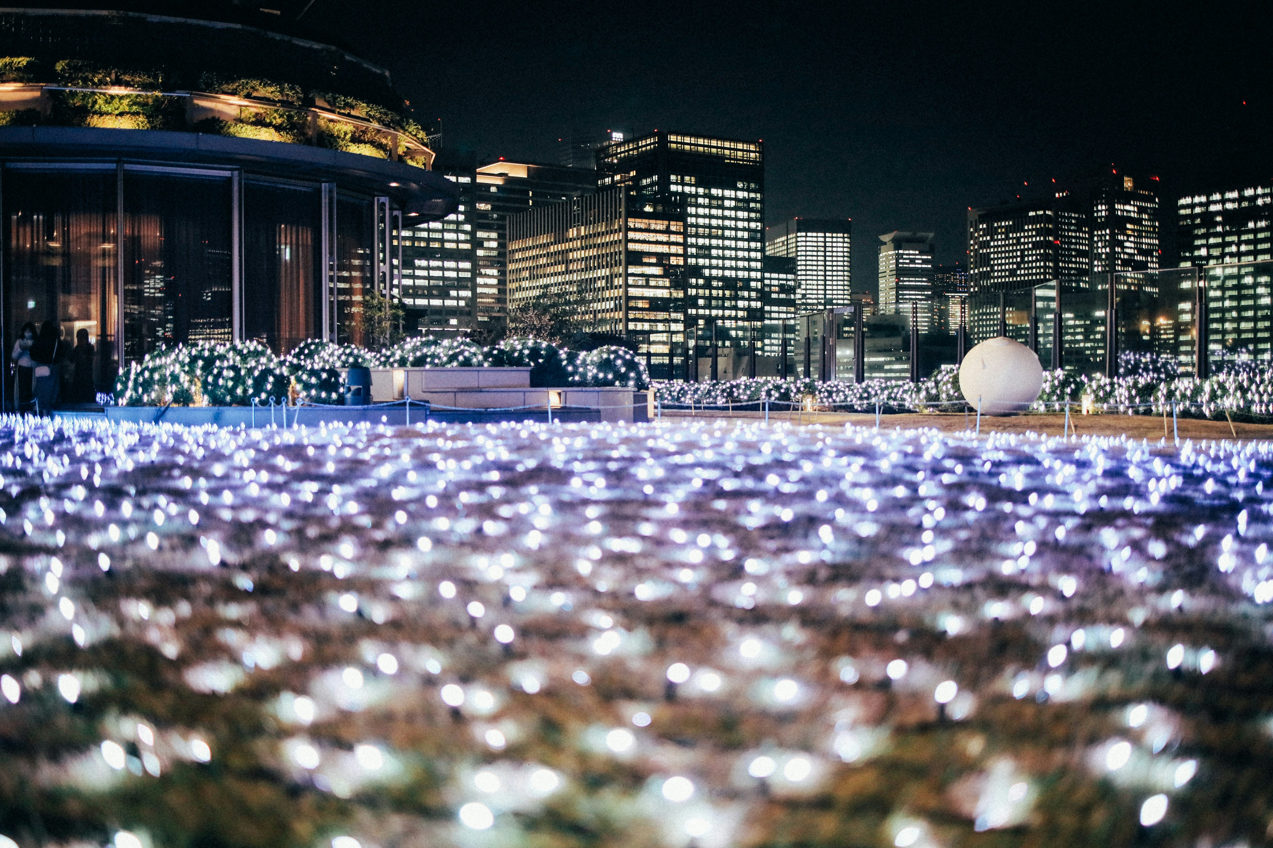 A city skyline illuminated with night lights. photo – Free City Image ...