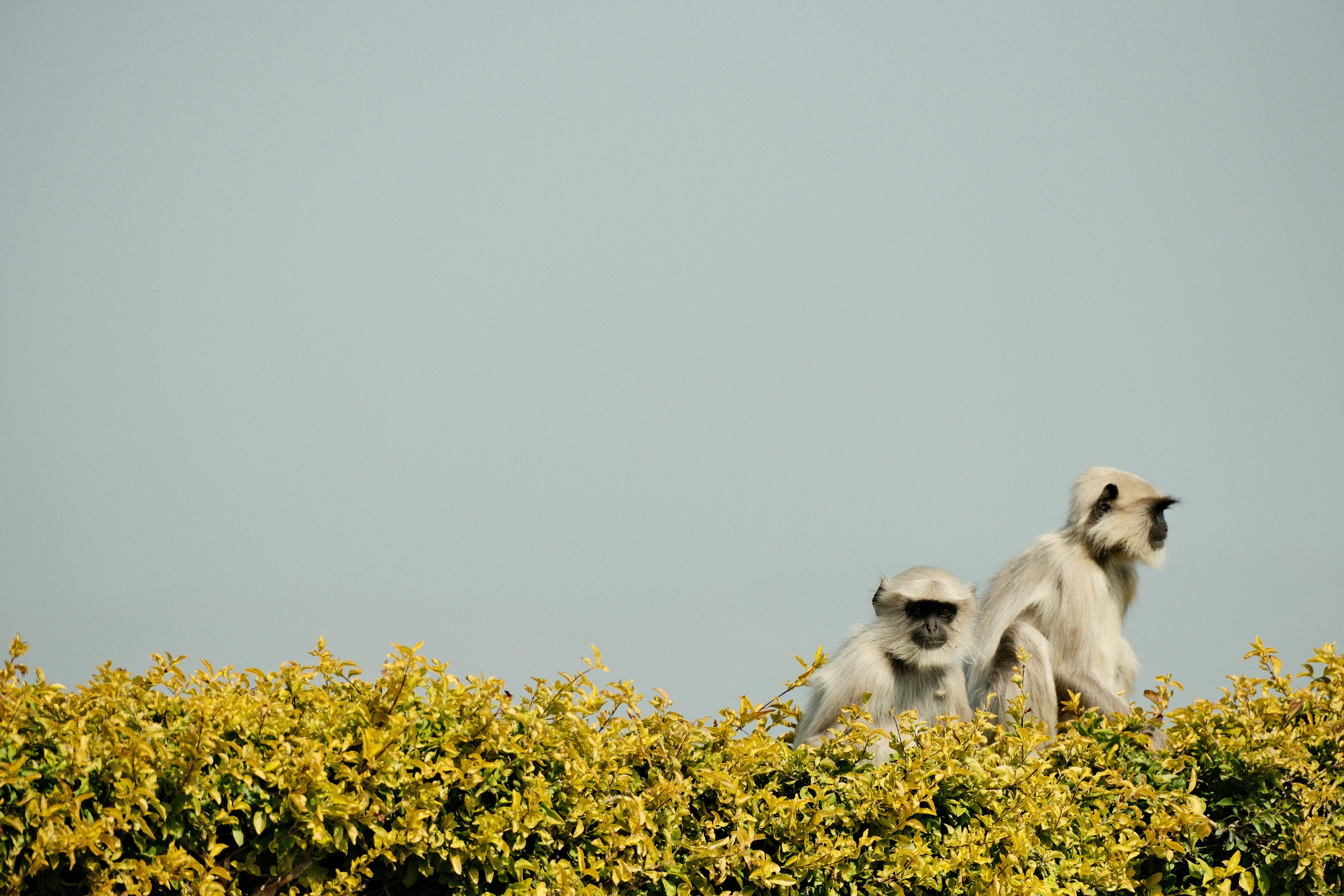 Photo by tonny huang with Fujifilm X-T5