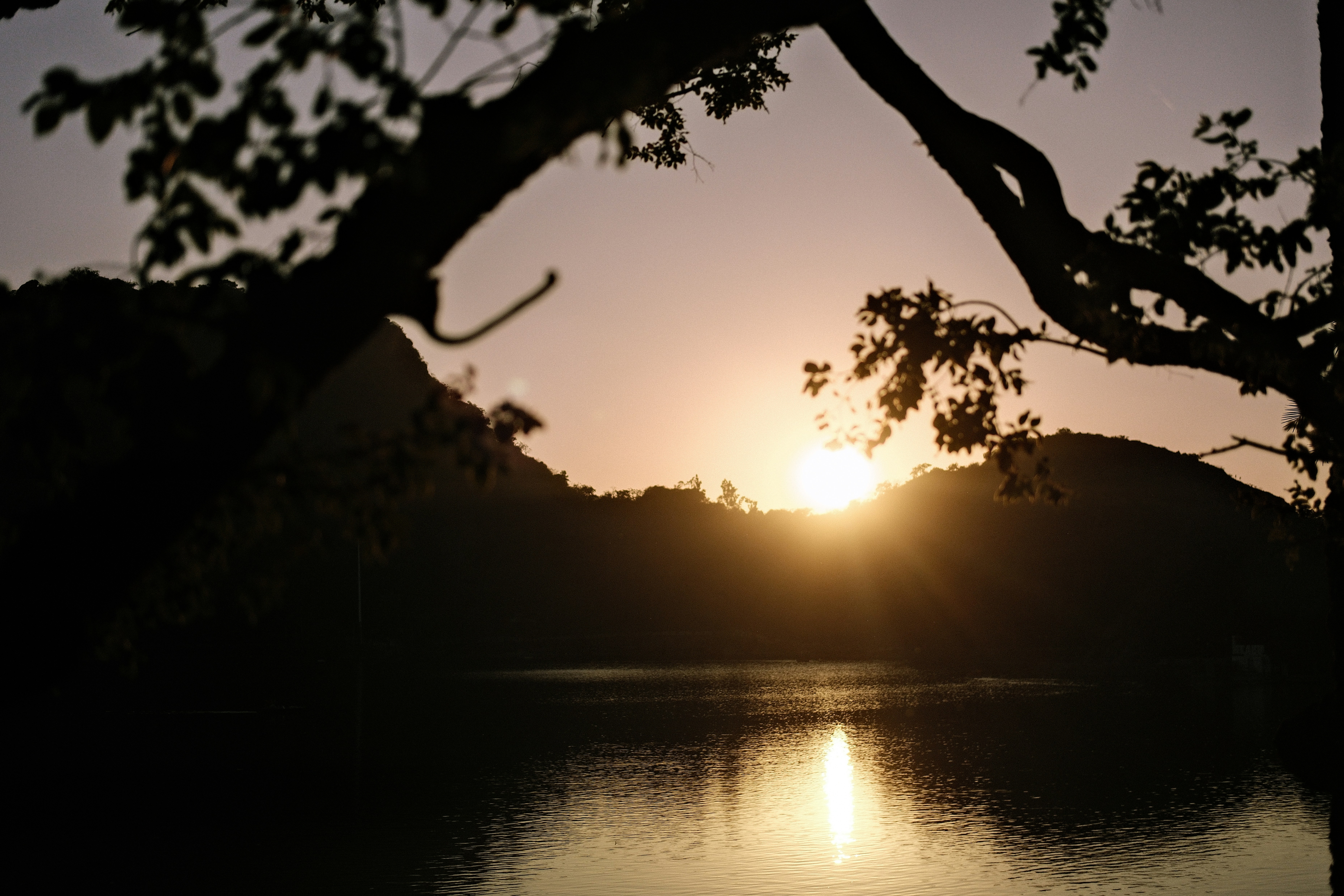 Sunset casting a warm glow over a tranquil lake, framed by silhouetted tree branches.