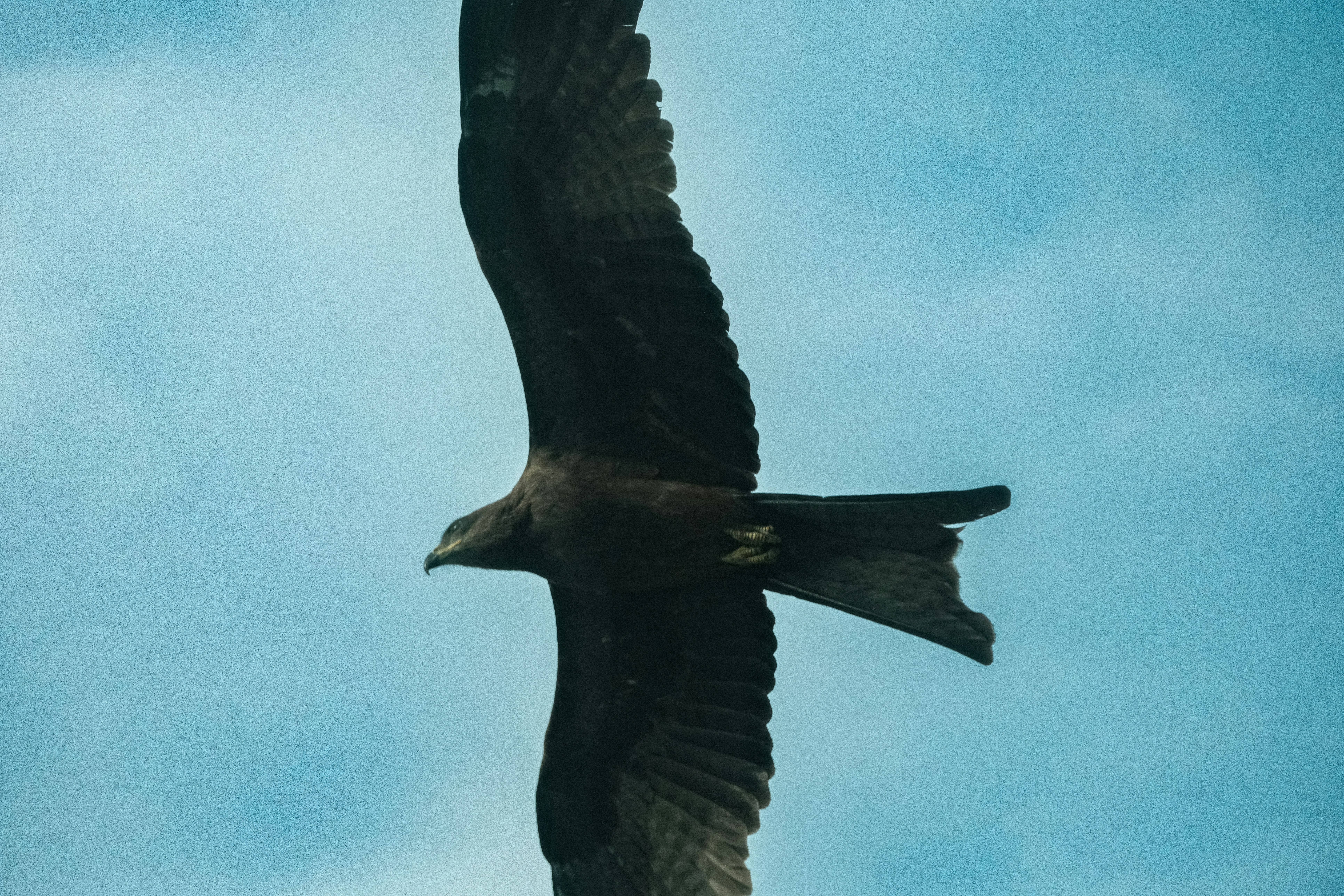 Photo by tonny huang with Fujifilm X-T5