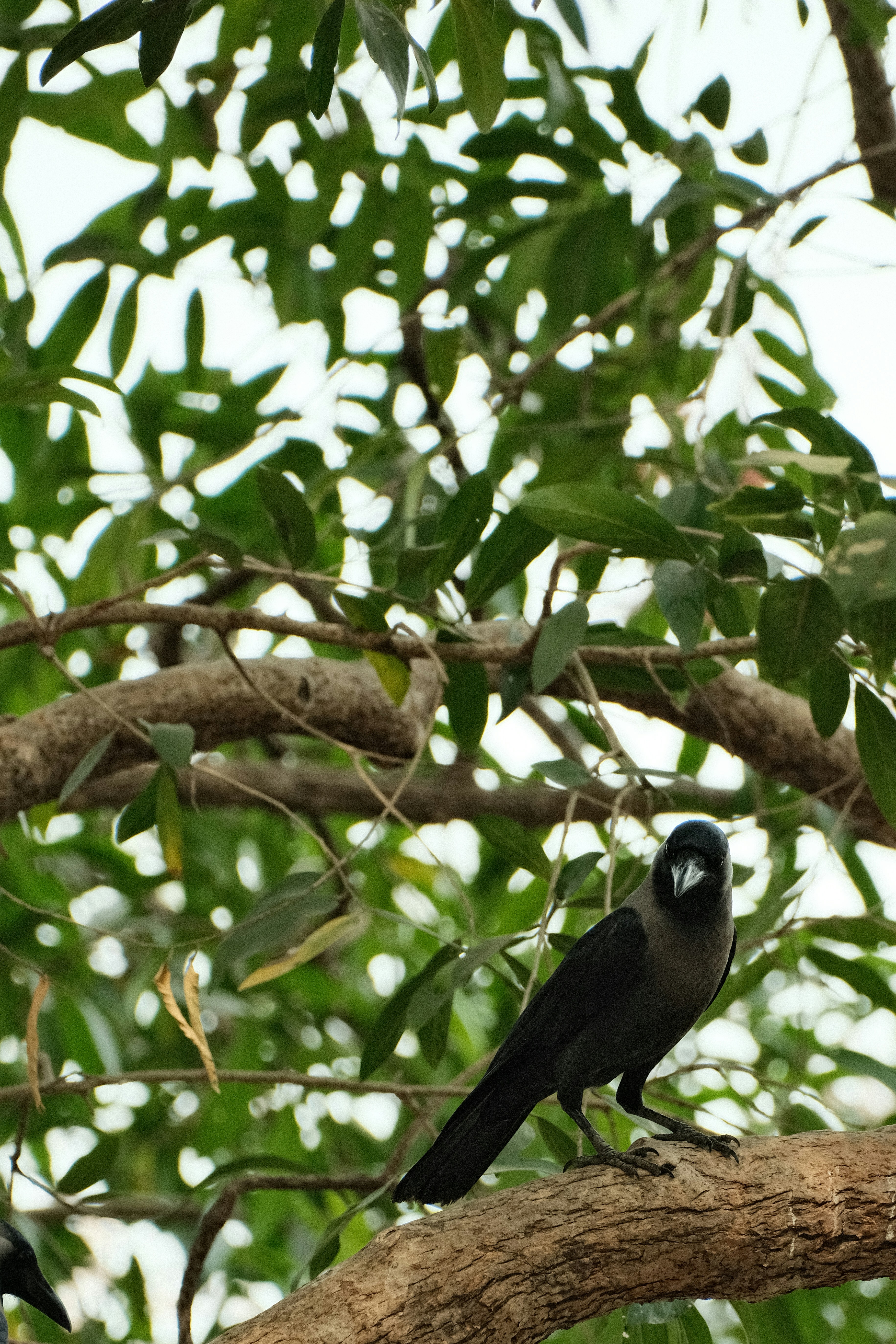 Photo by tonny huang with Fujifilm X-T5