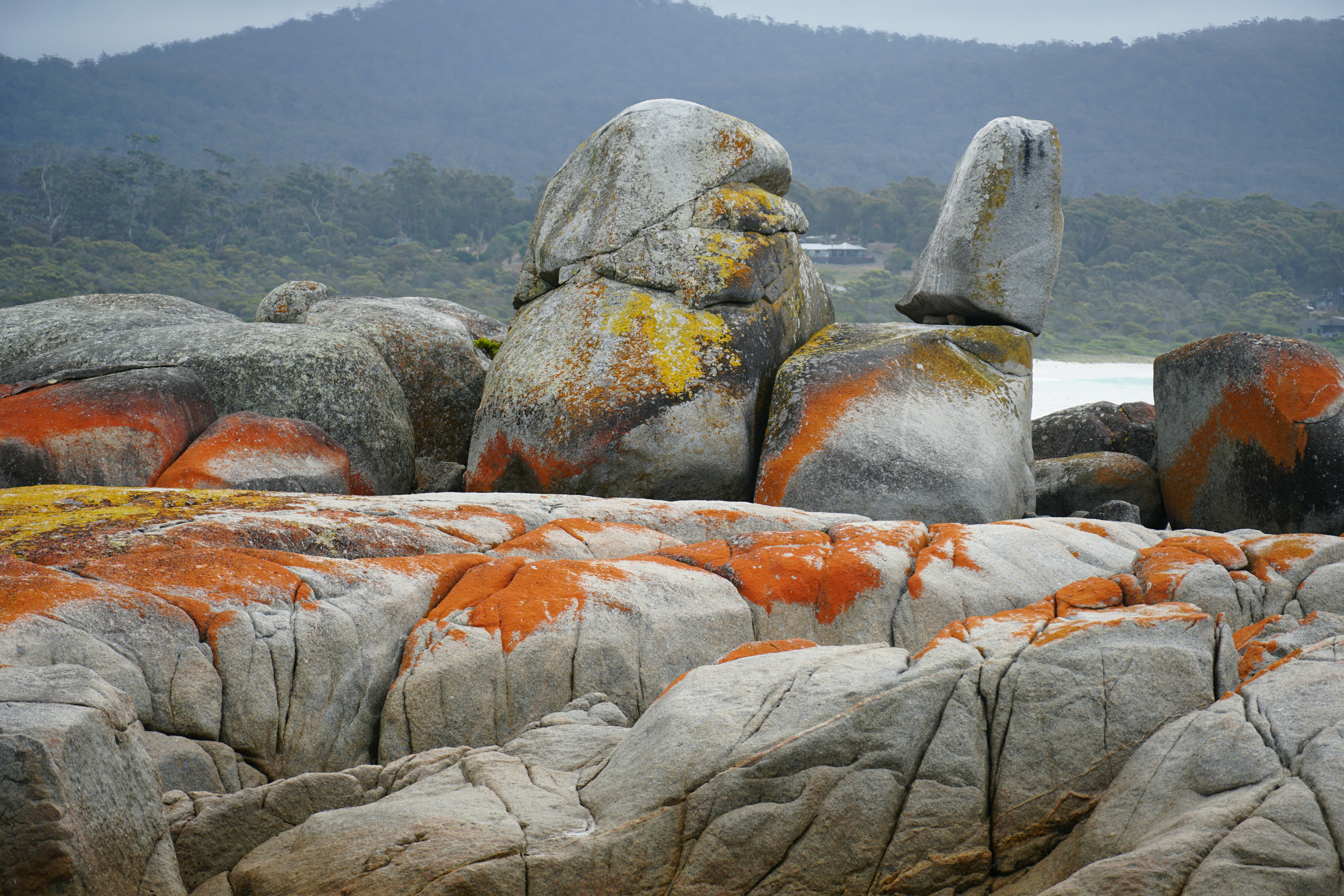 Vividly colored rocks with orange and yellow hues set against a misty forest backdrop.