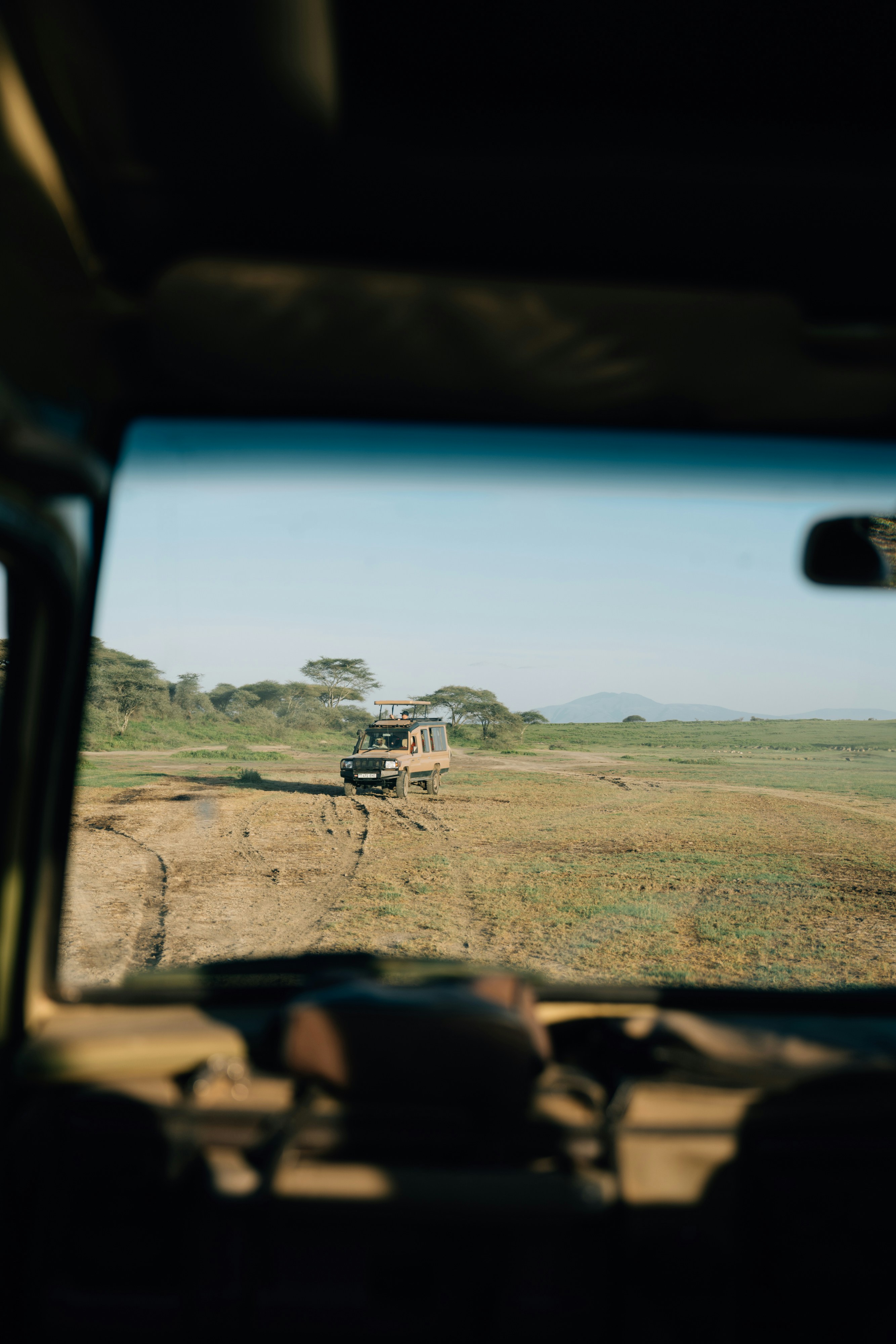 Safari drive from the inside of a vehicle. photo – Free Sunset Image on ...