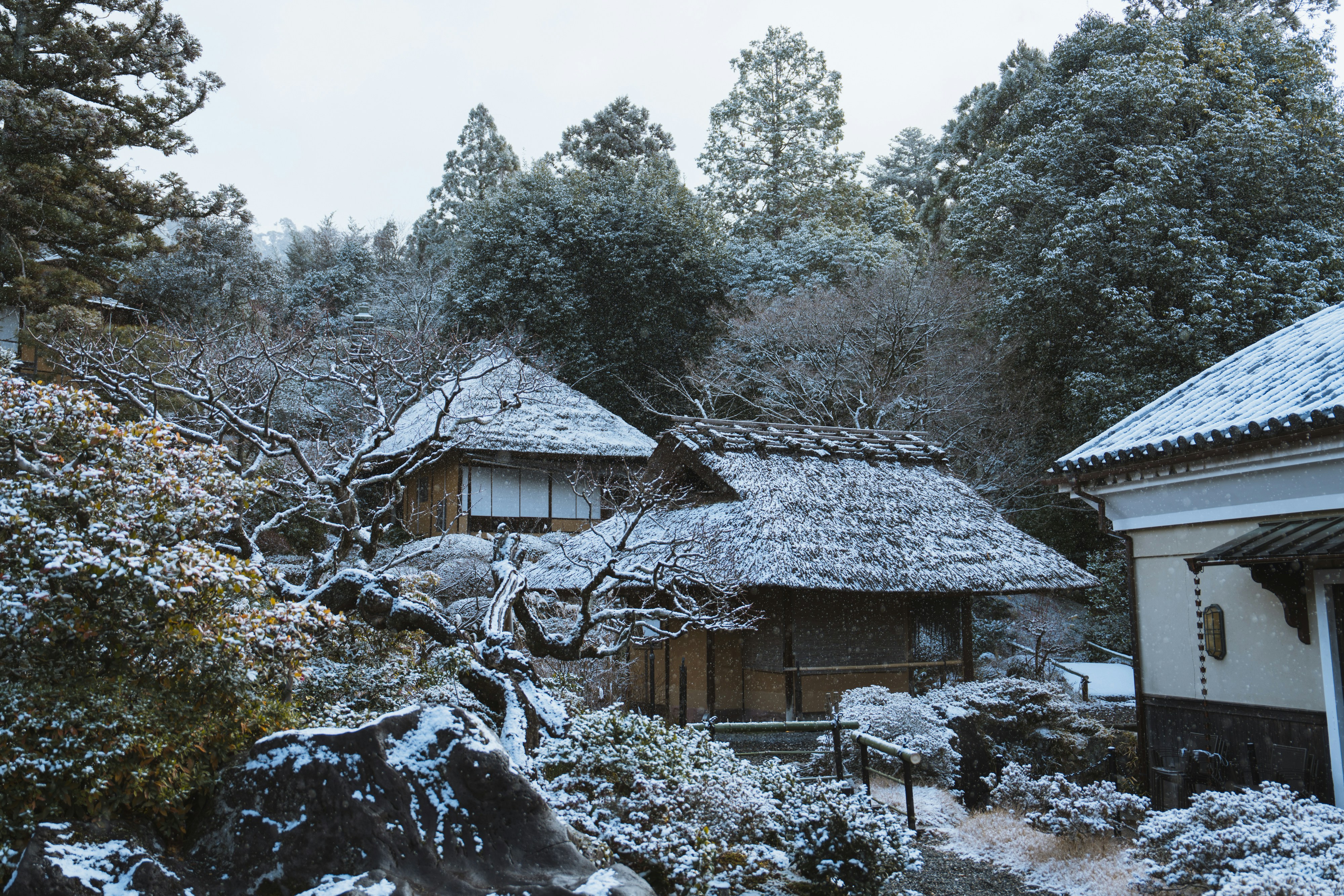 Snowy Kyoto: Nature's Beauty