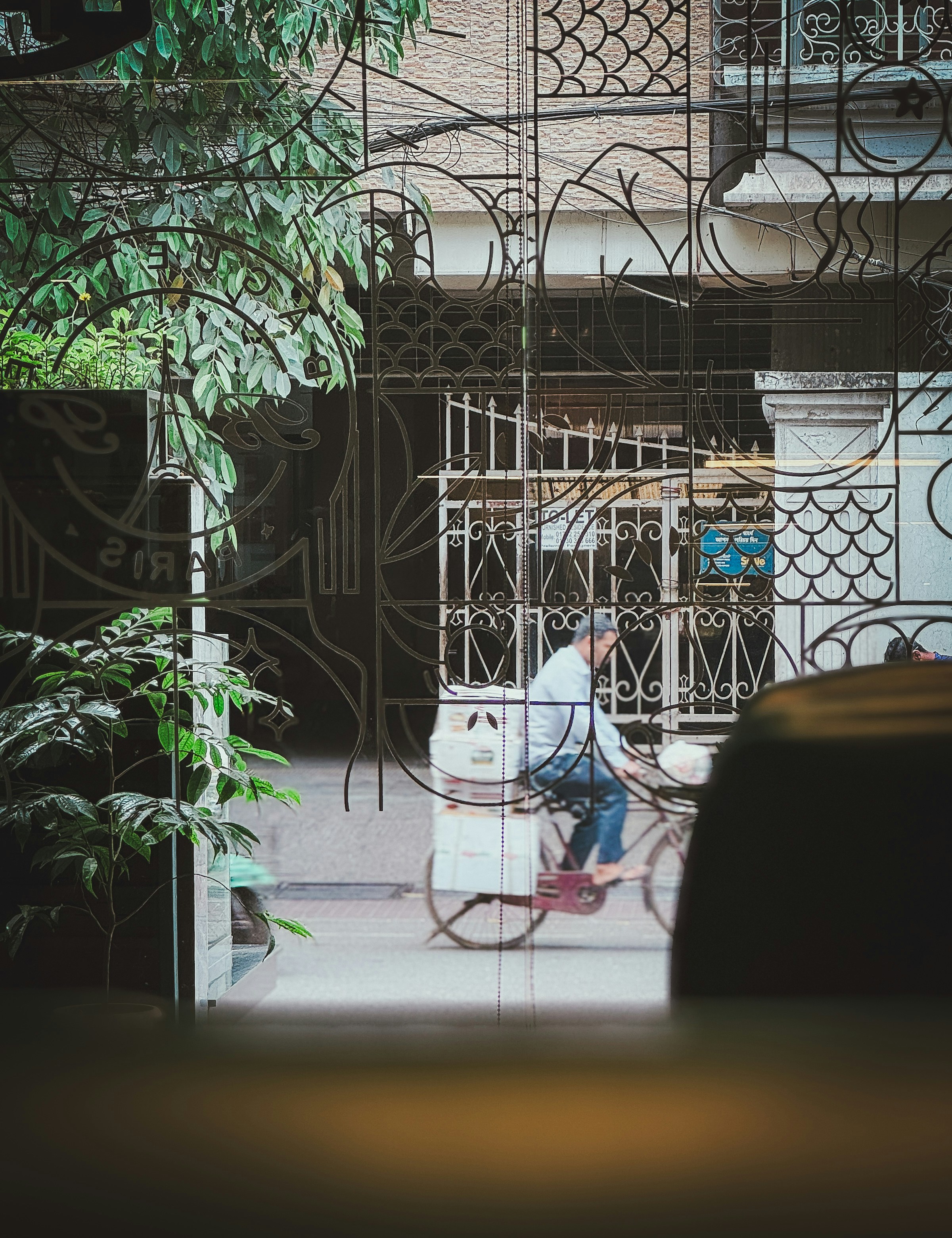 Rashed Moslem (@rashed_moslem) | Unsplash Photo Community