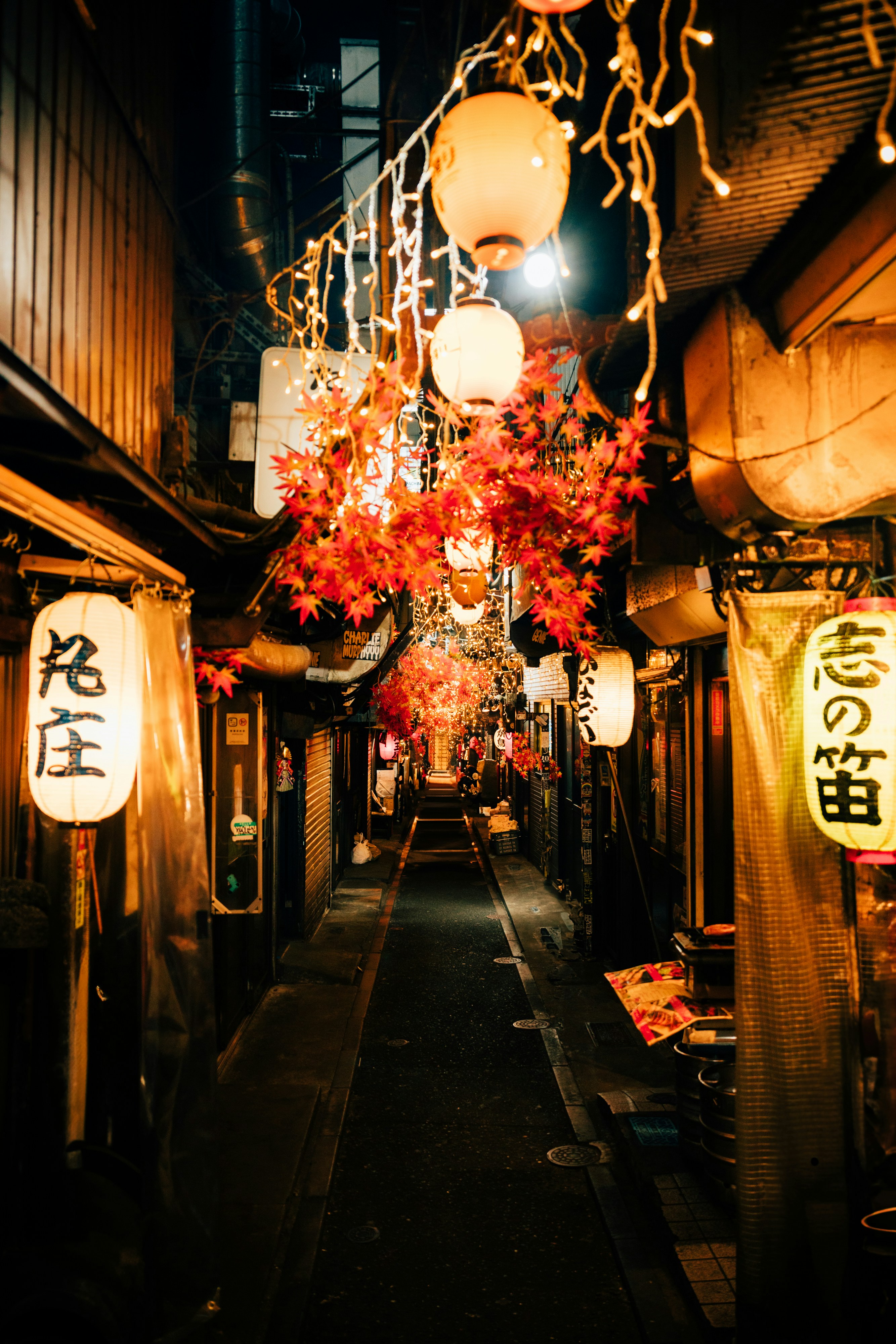 Cozy alleyway in japan decorated with lanterns. photo – Free Japan ...