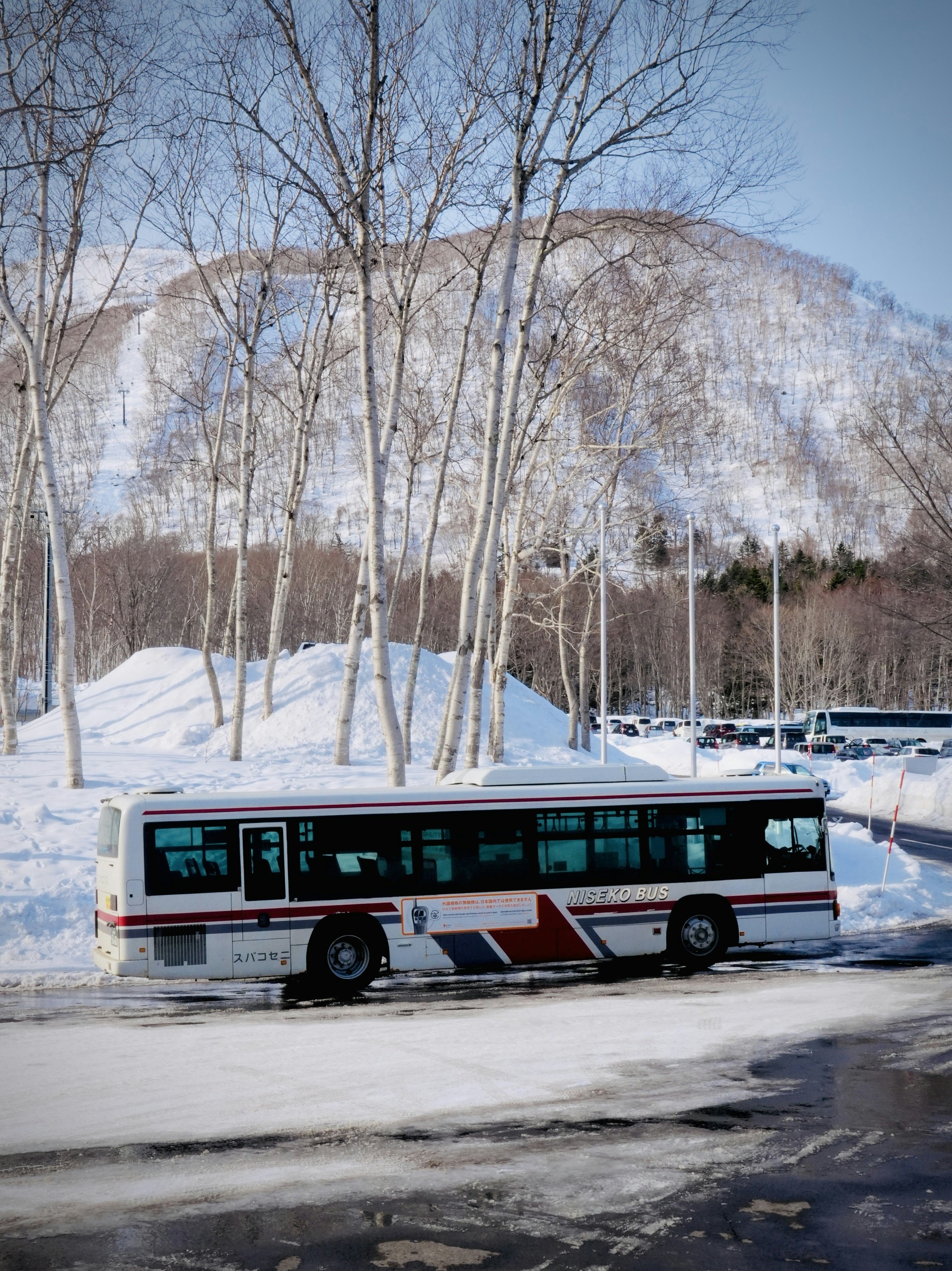 Snowbound Transit: A lone bus under skeletal trees