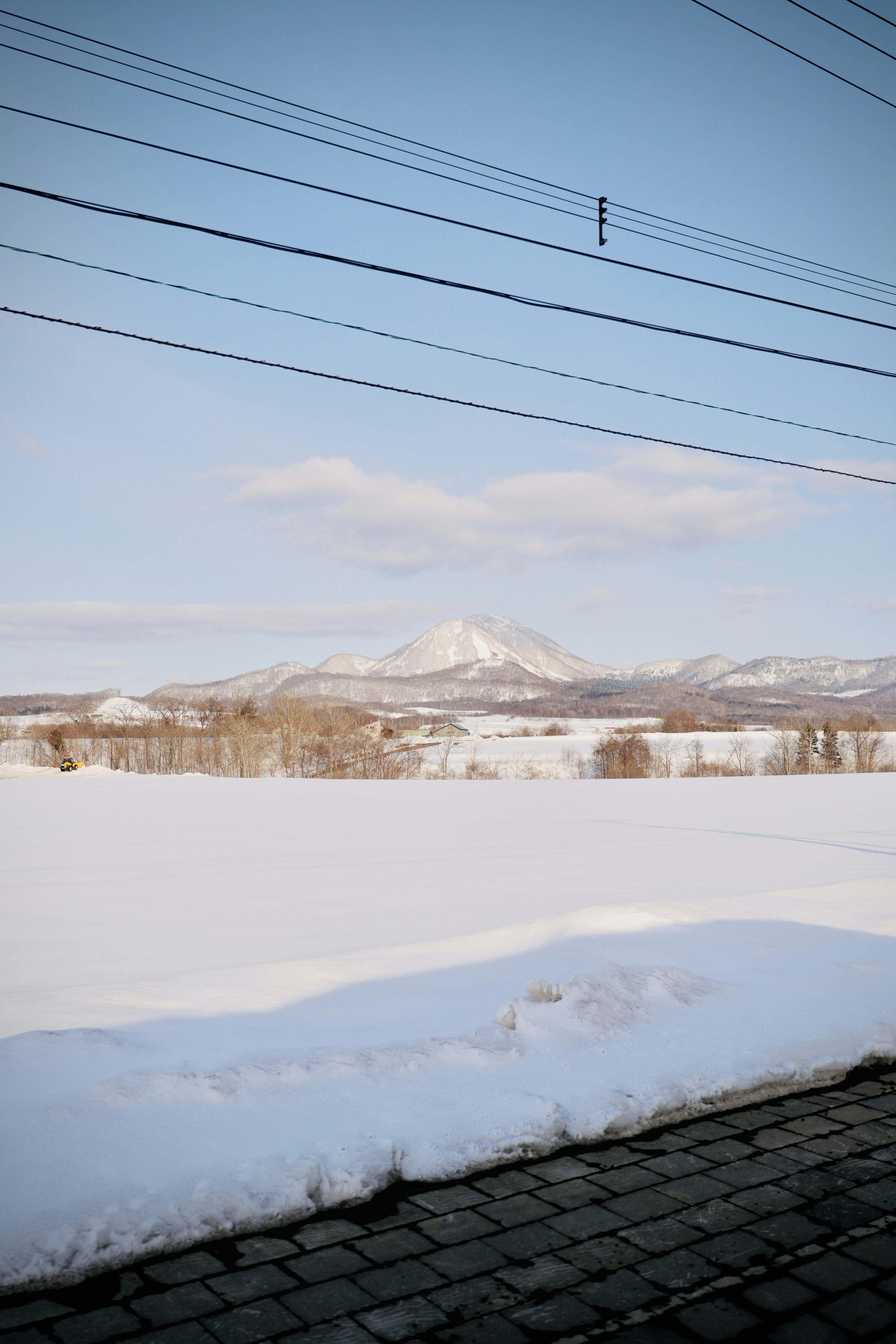 Photo by 安 崔士 with Sony Alpha 7R V