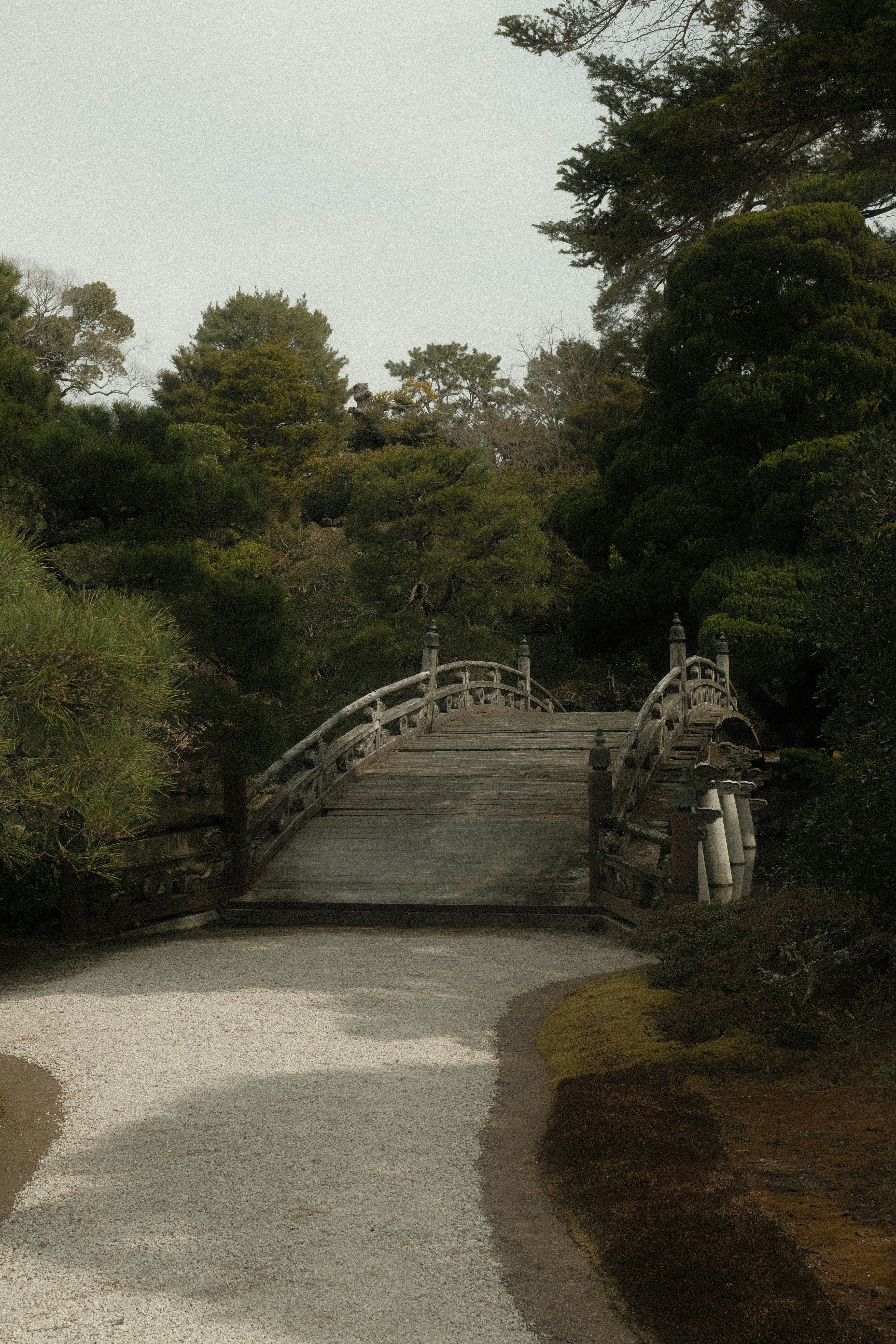 Arching Wooden Bridge in a Tranquil Japanese Garden